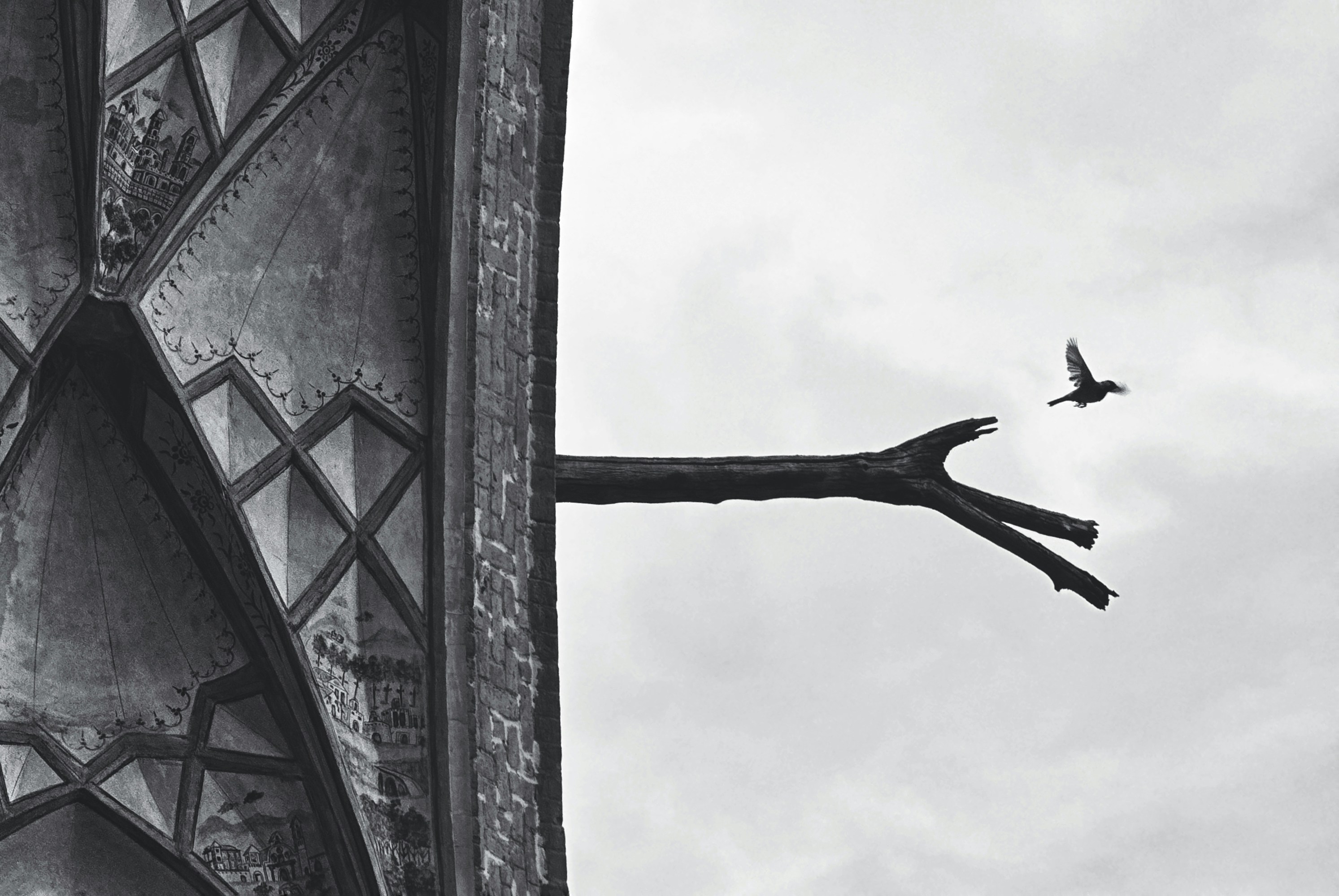 Winged Moment: A Gargoyle’s Flight Beyond the Arched Facade