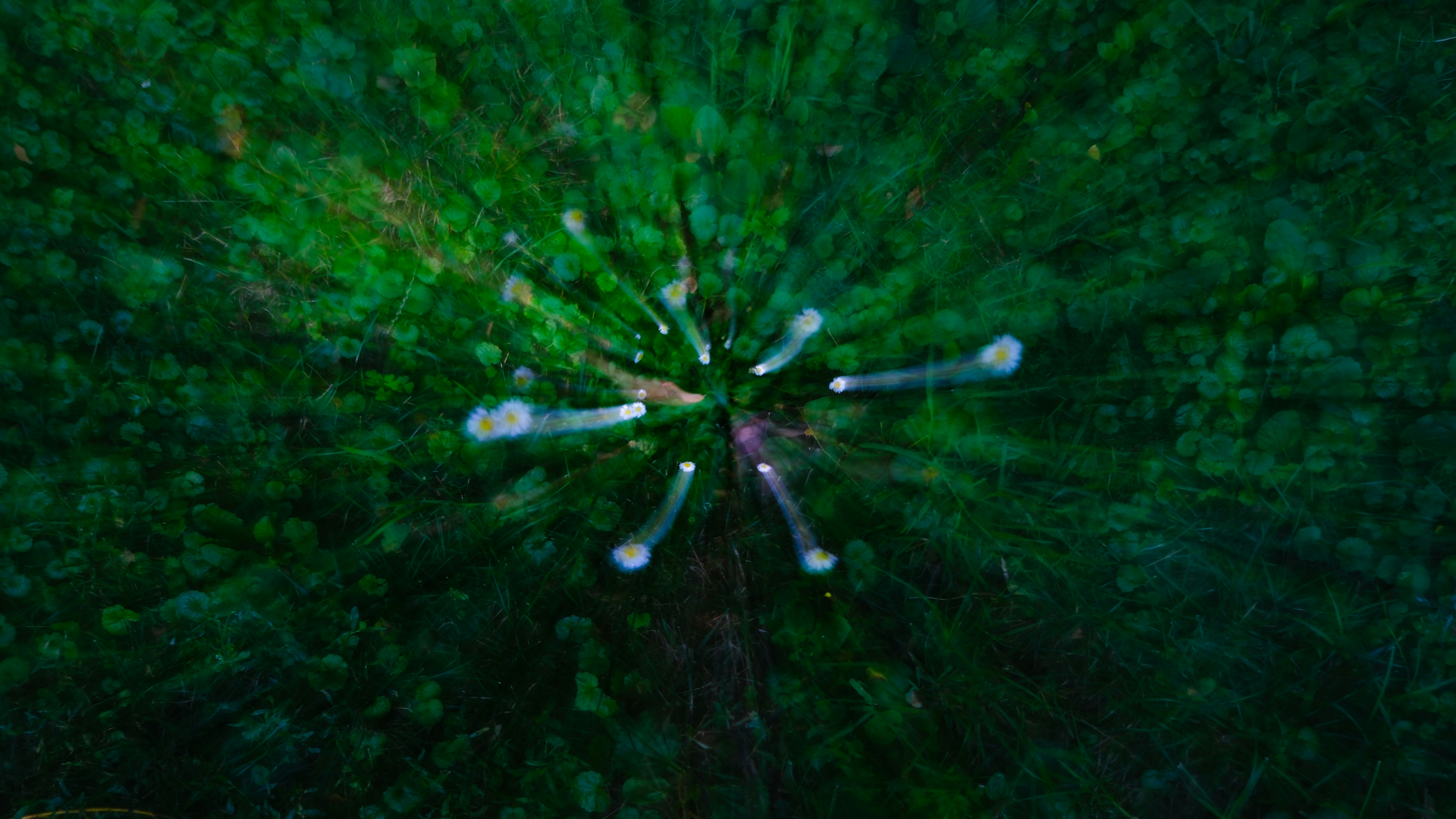 Emerald Orbit: A Subtle Bloom of Light in the Green Canopy