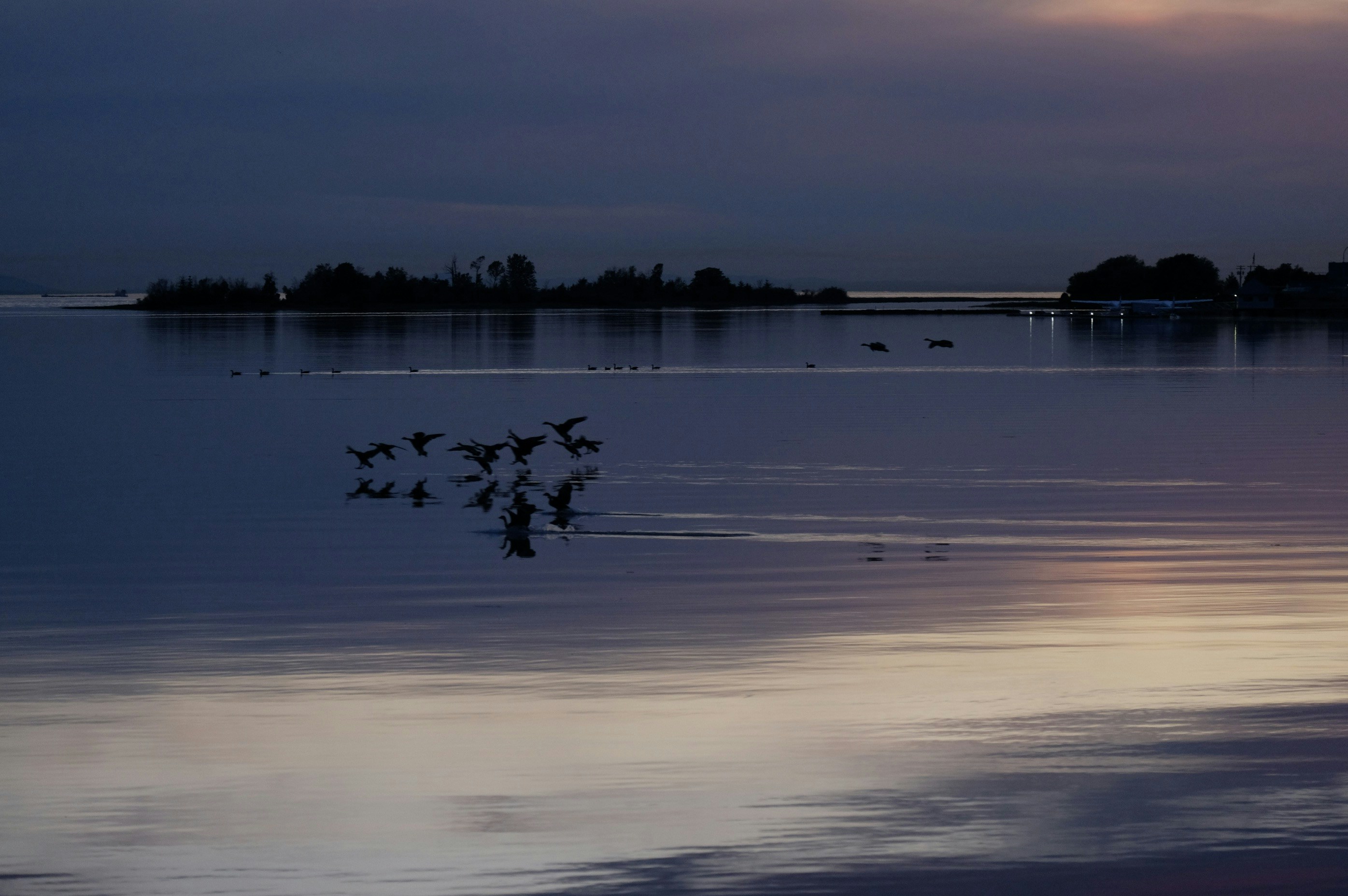 Dusk Flight Over a Quiet Inland