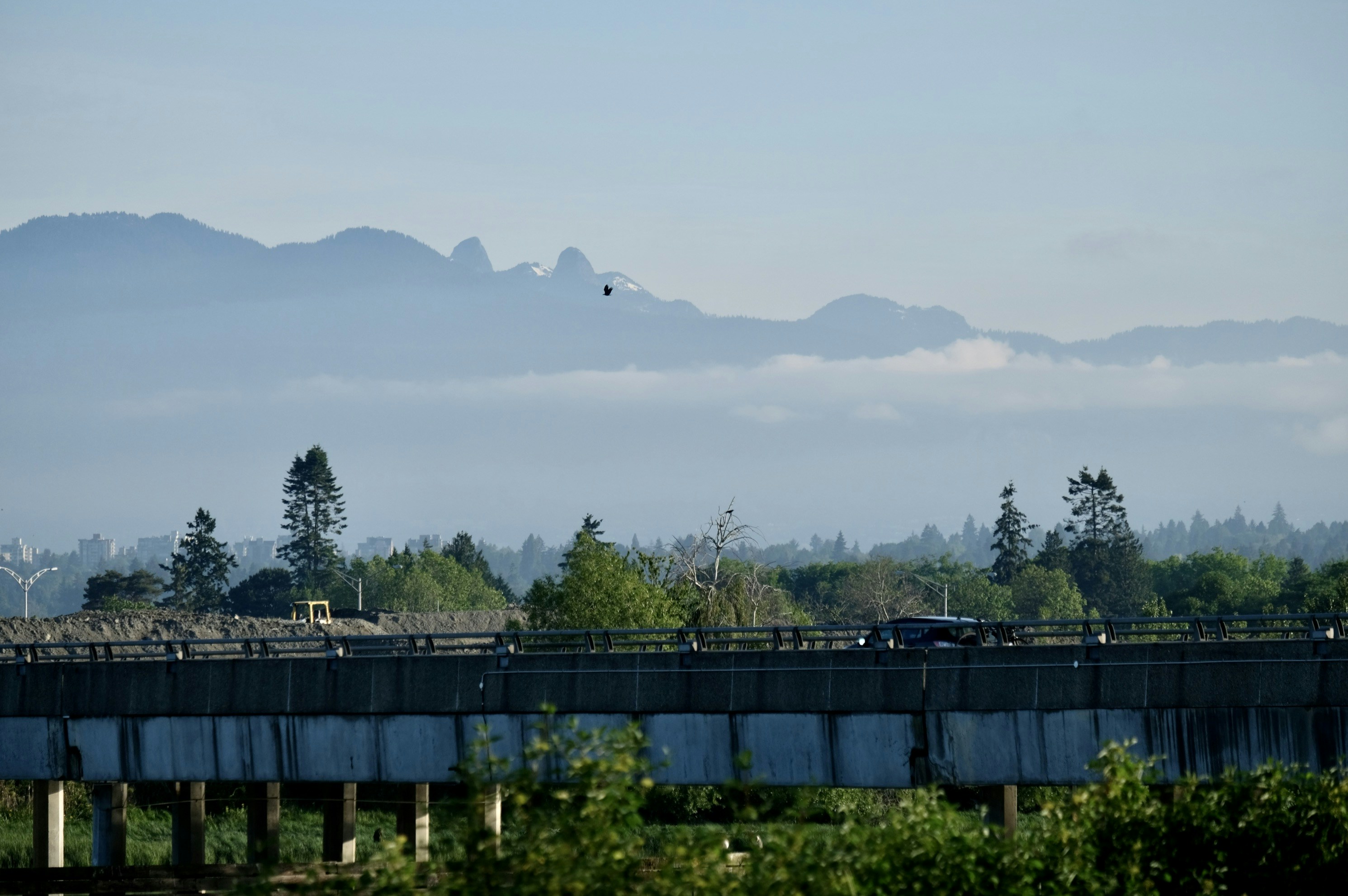 Bridge in the Mist: A Quiet Ridge Framed by Morning Fog
