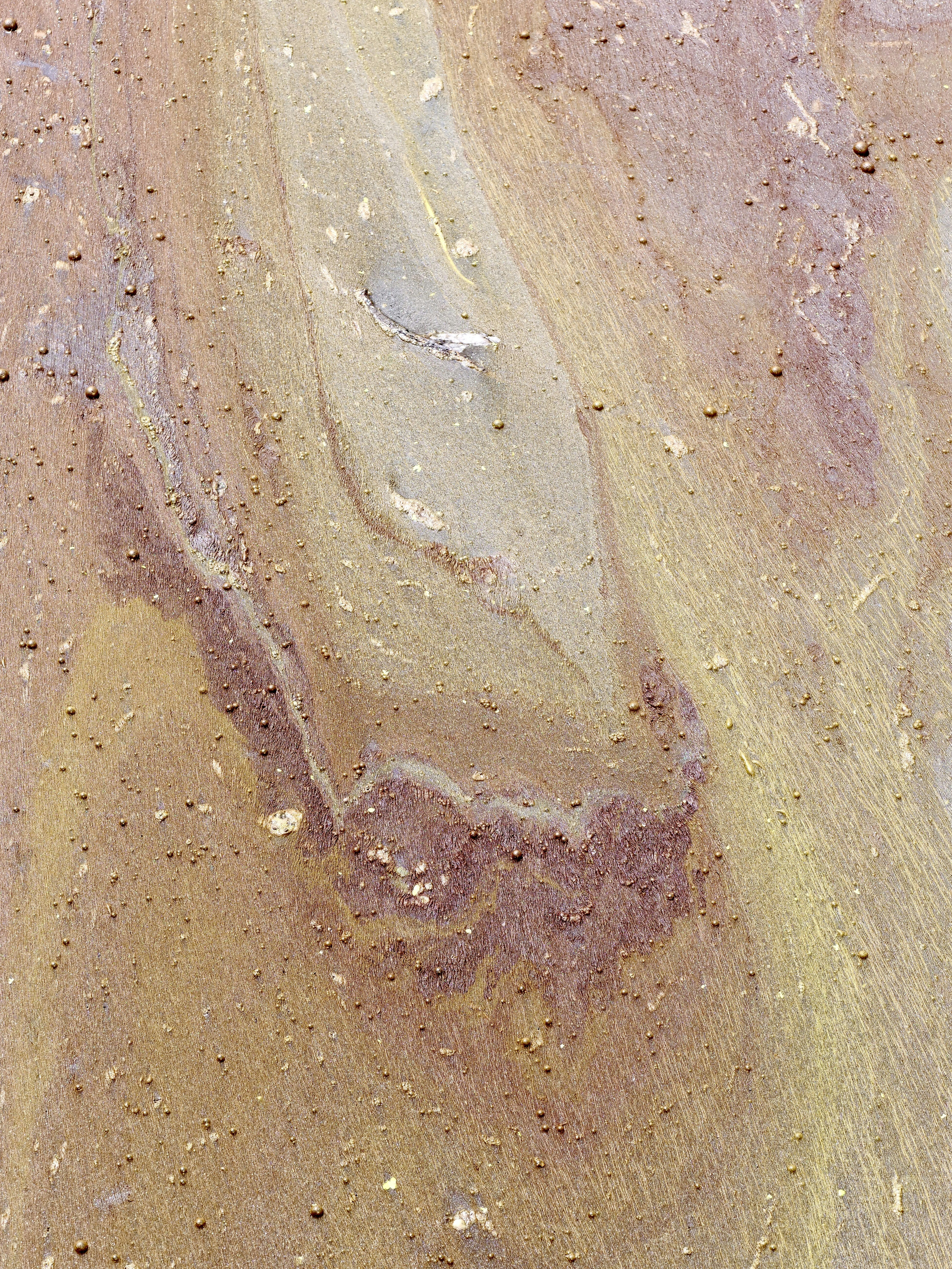 Desert Sediments: Marble-like swirls and mineral bands across a sandstone mosaic