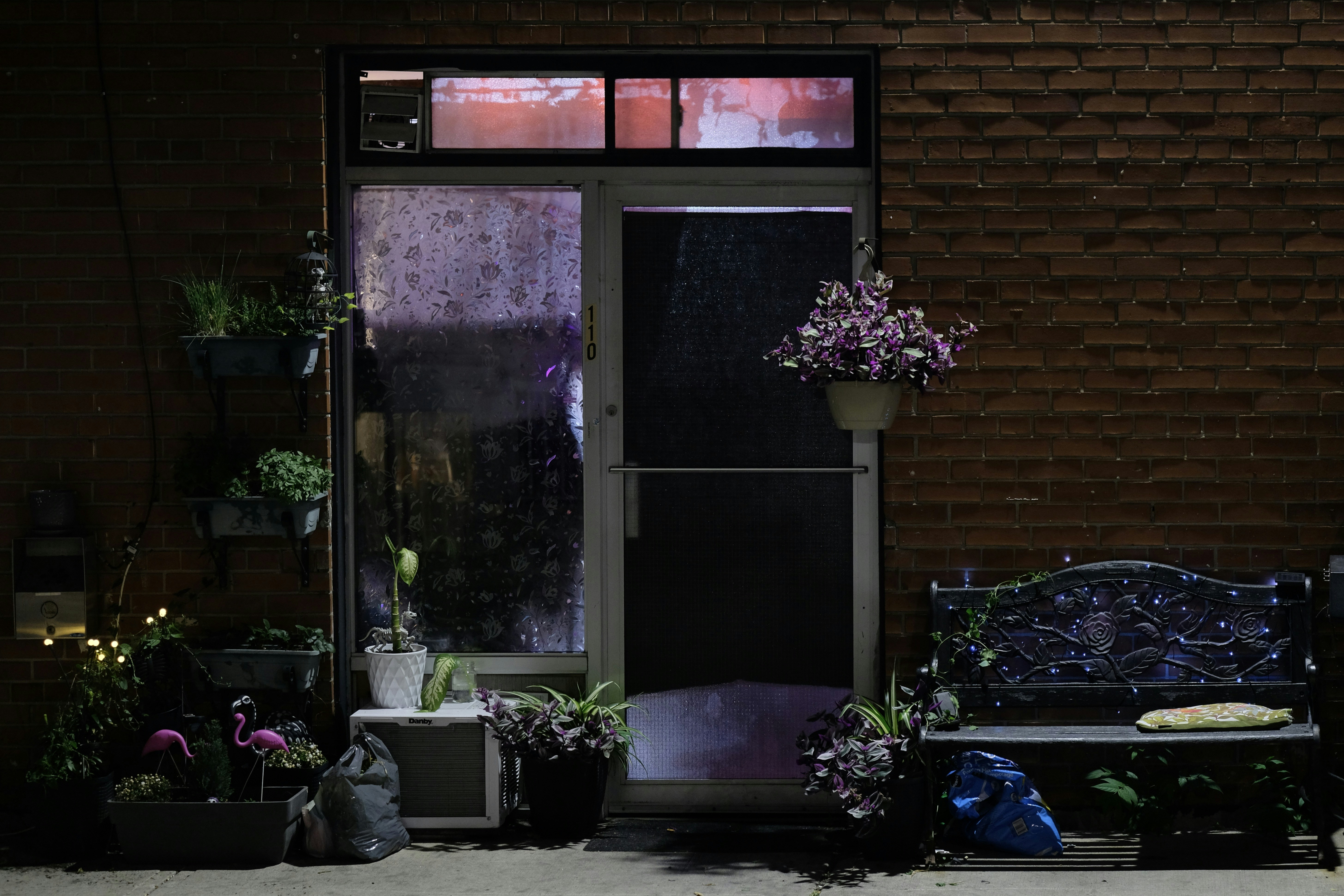Urban Doorway with Potted Plants and Weathered Glass
