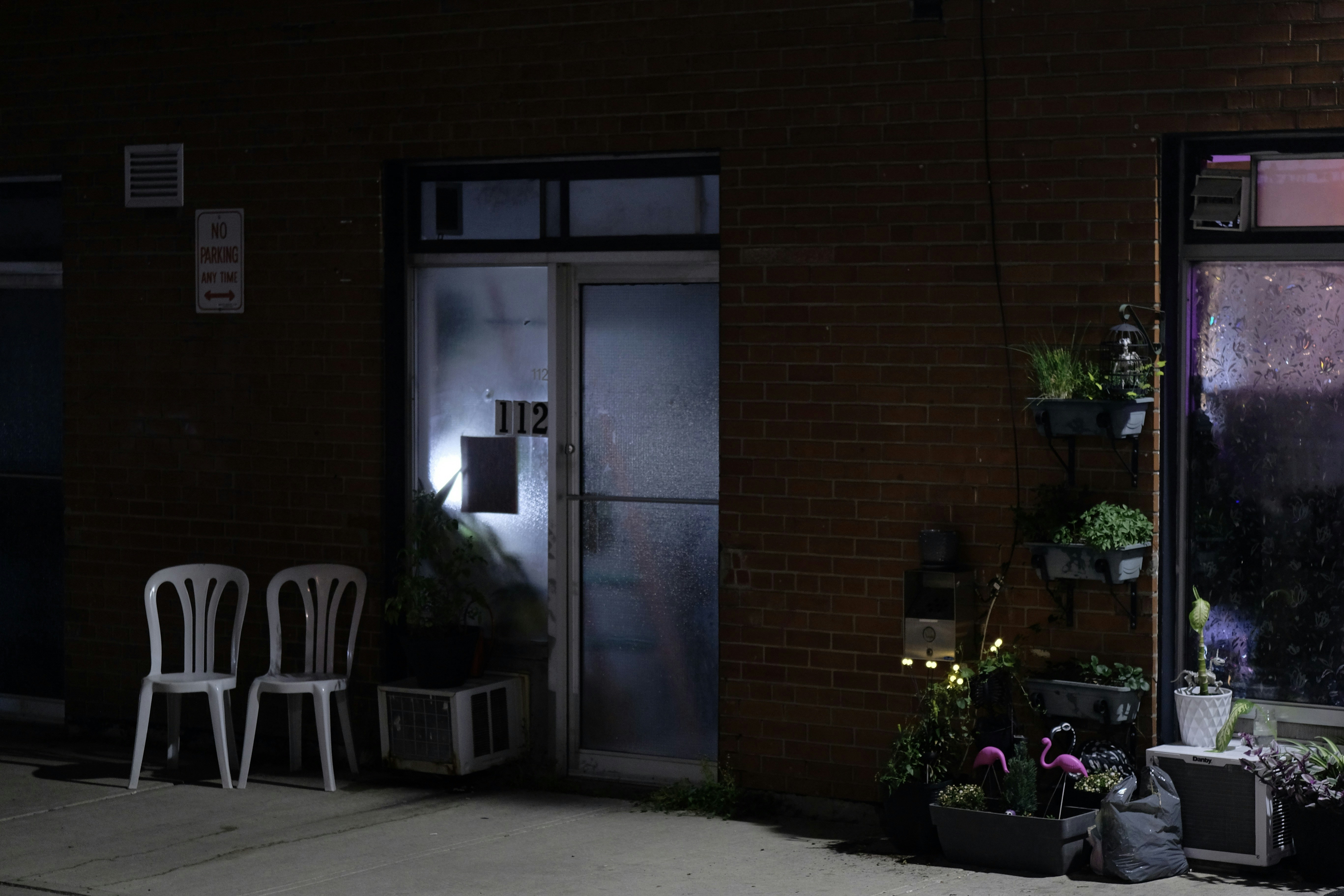 Quiet Nightfront: A Neon Doorway with Potted Life