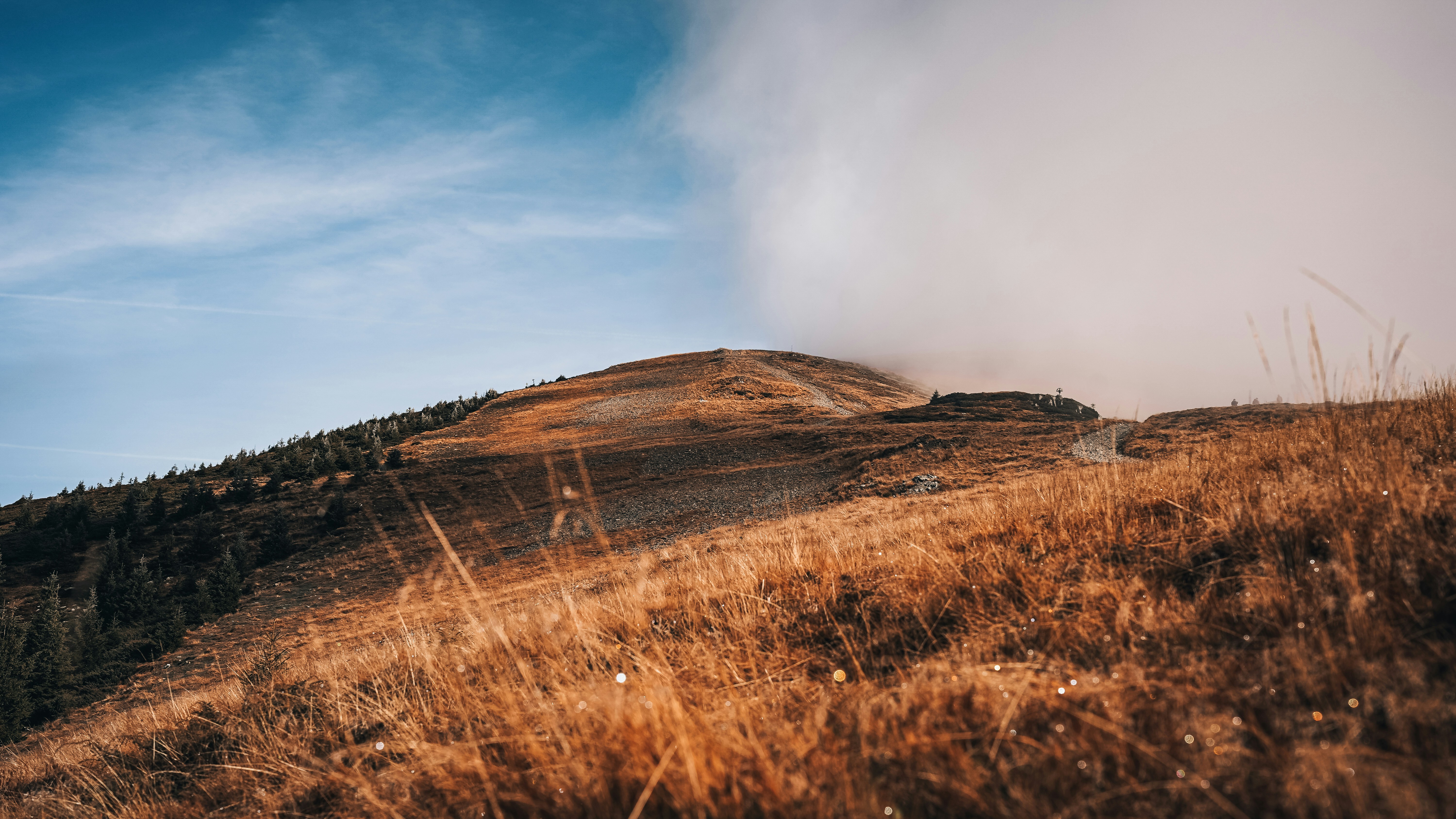 Golden Hill Crest Under Open Sky