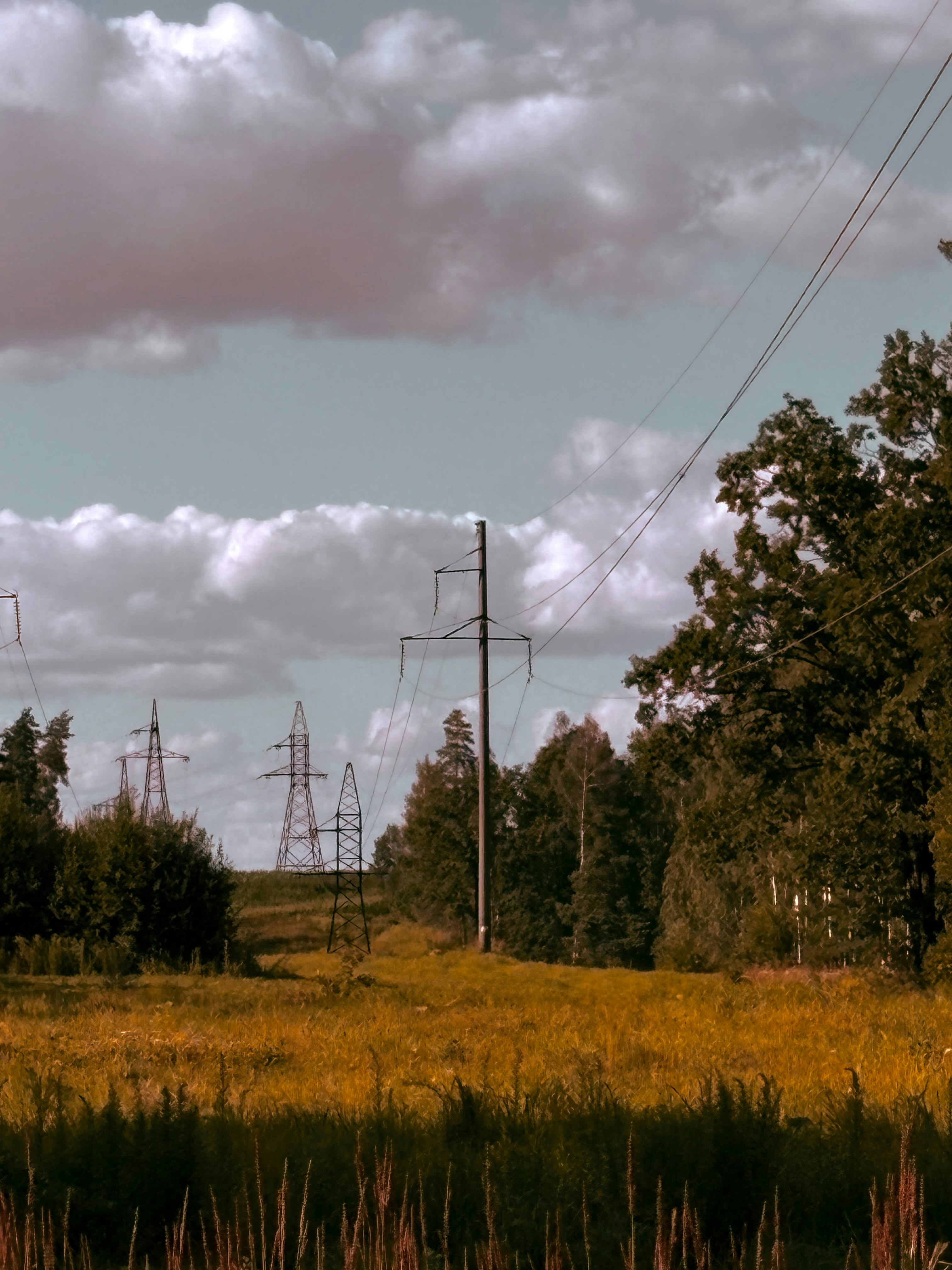 Rural landscape with tall power lines and pylons marching into a tree-lined horizon under a partly cloudy sky.