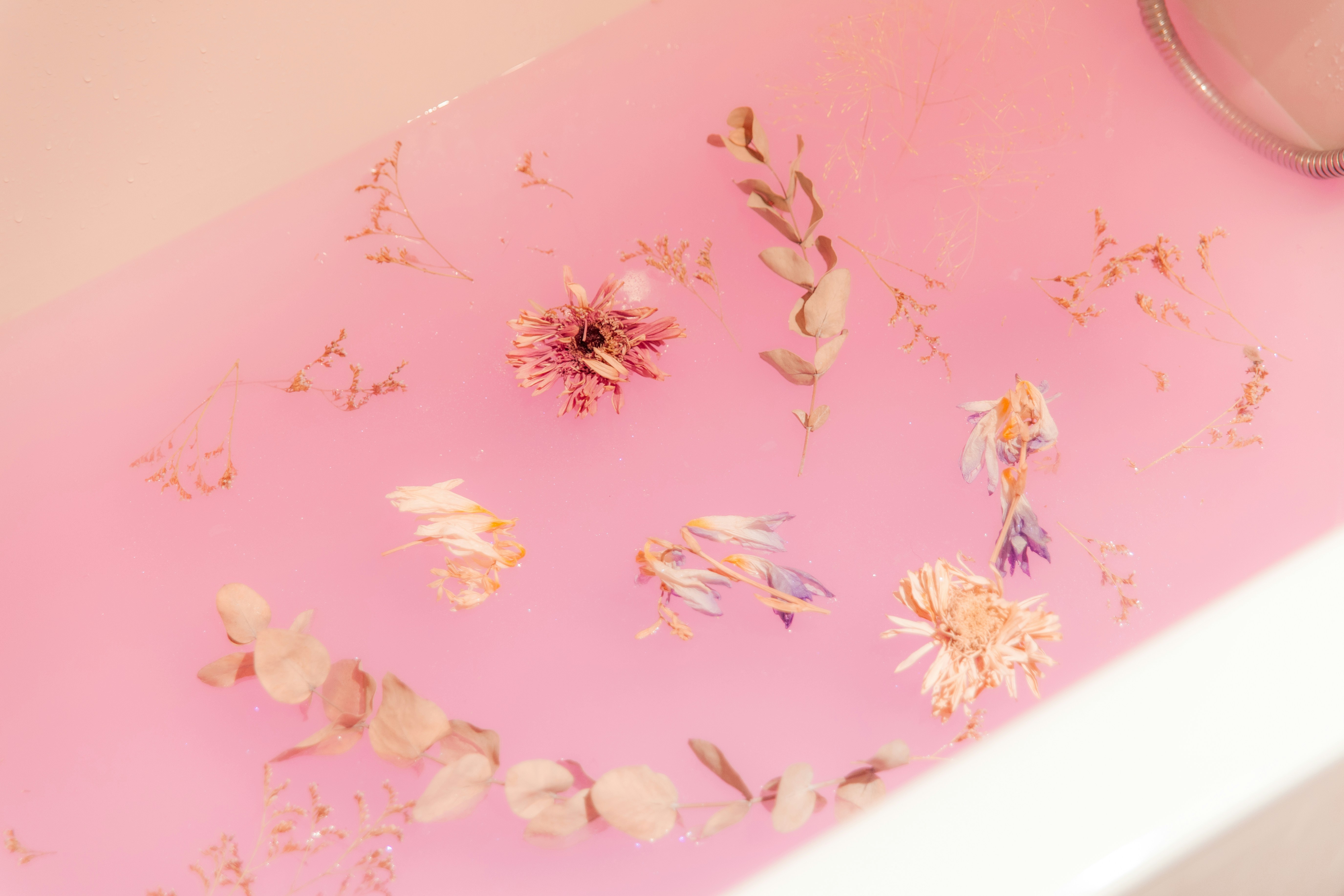 Pink Bath Reverie: Floating Floral Fragments