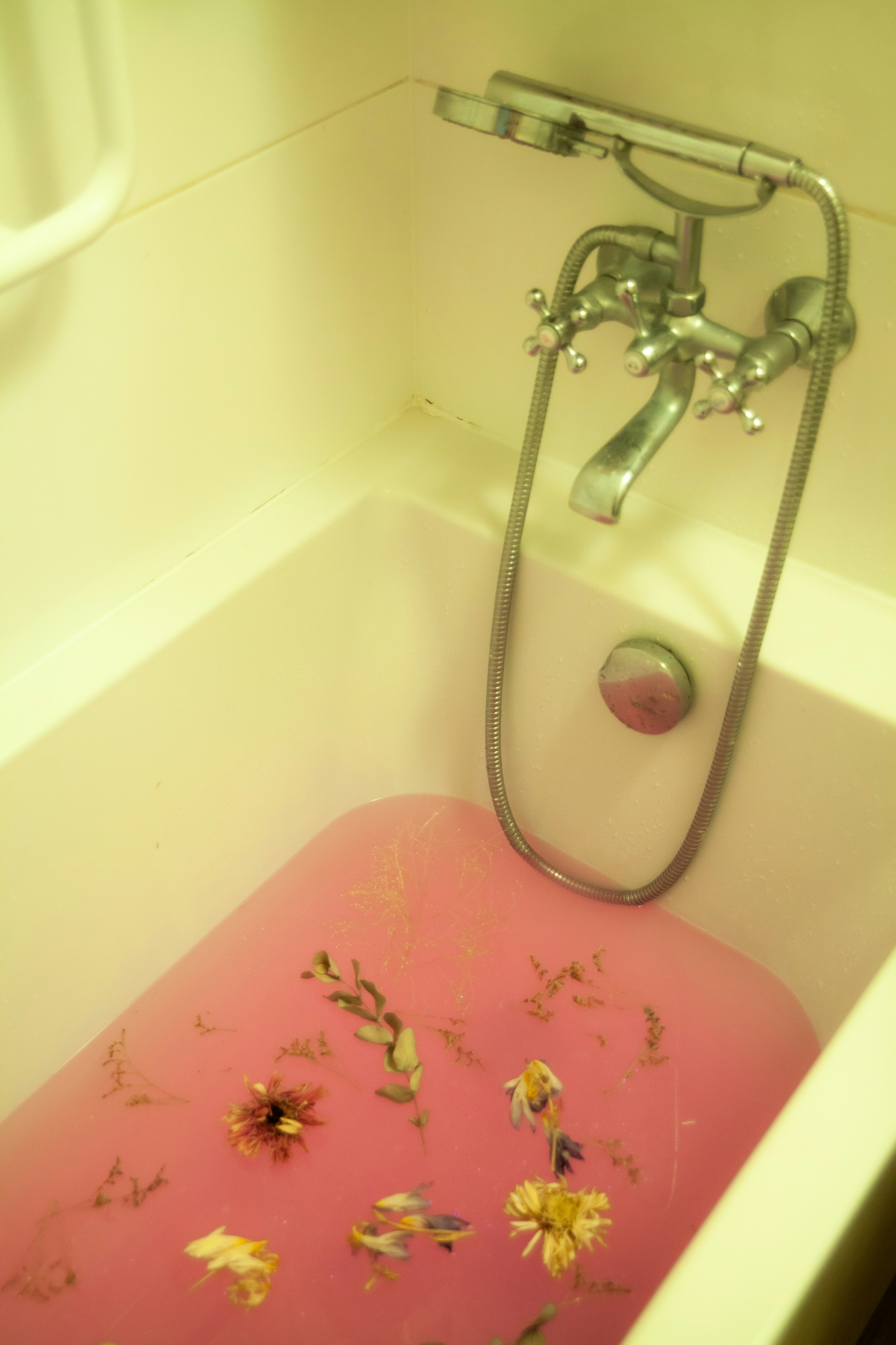 Sunlit Bathing Scene: Pink Tub with Floating Florals