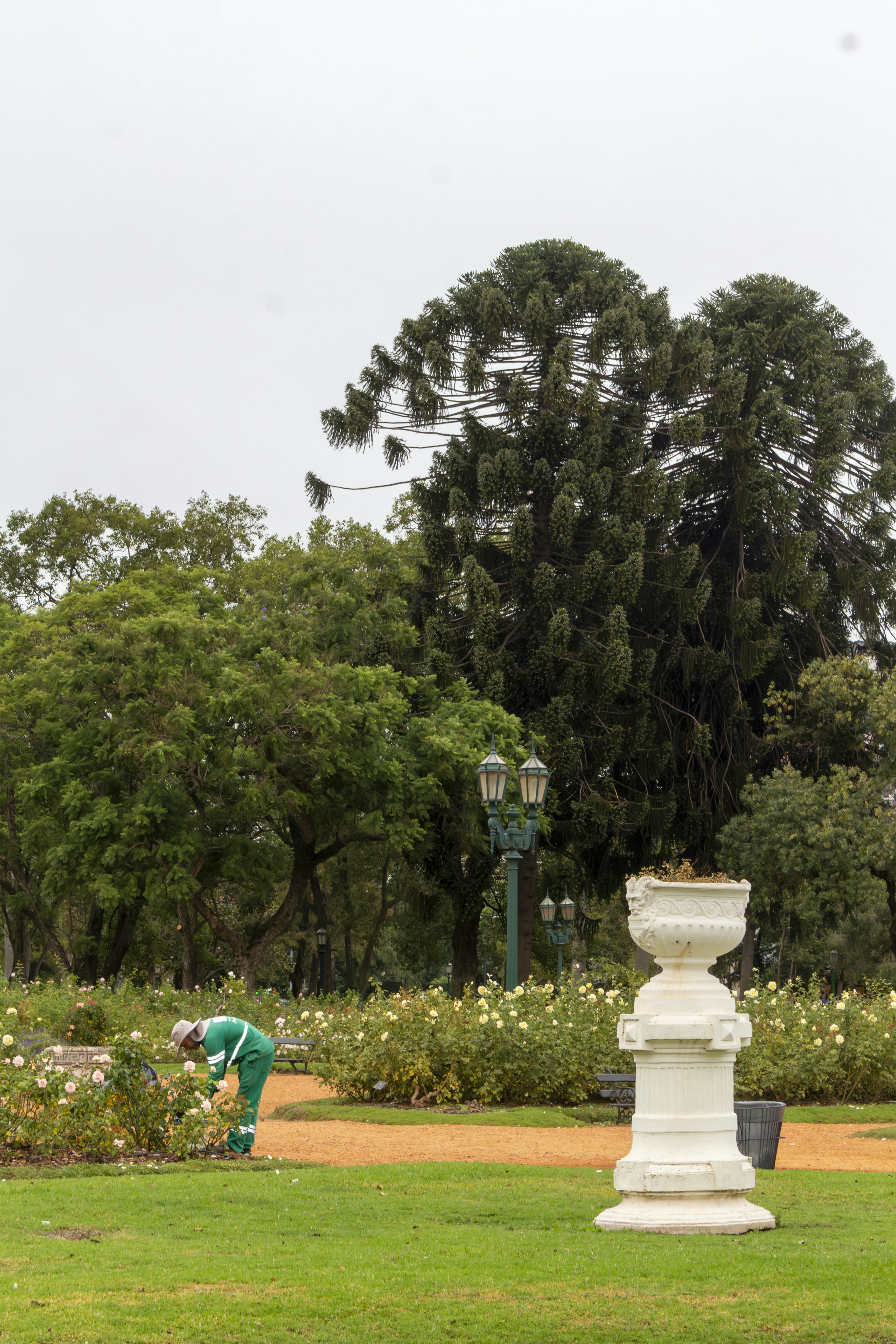 Garden Sculptor in Green: A Worker Tends the Margins of Beauty