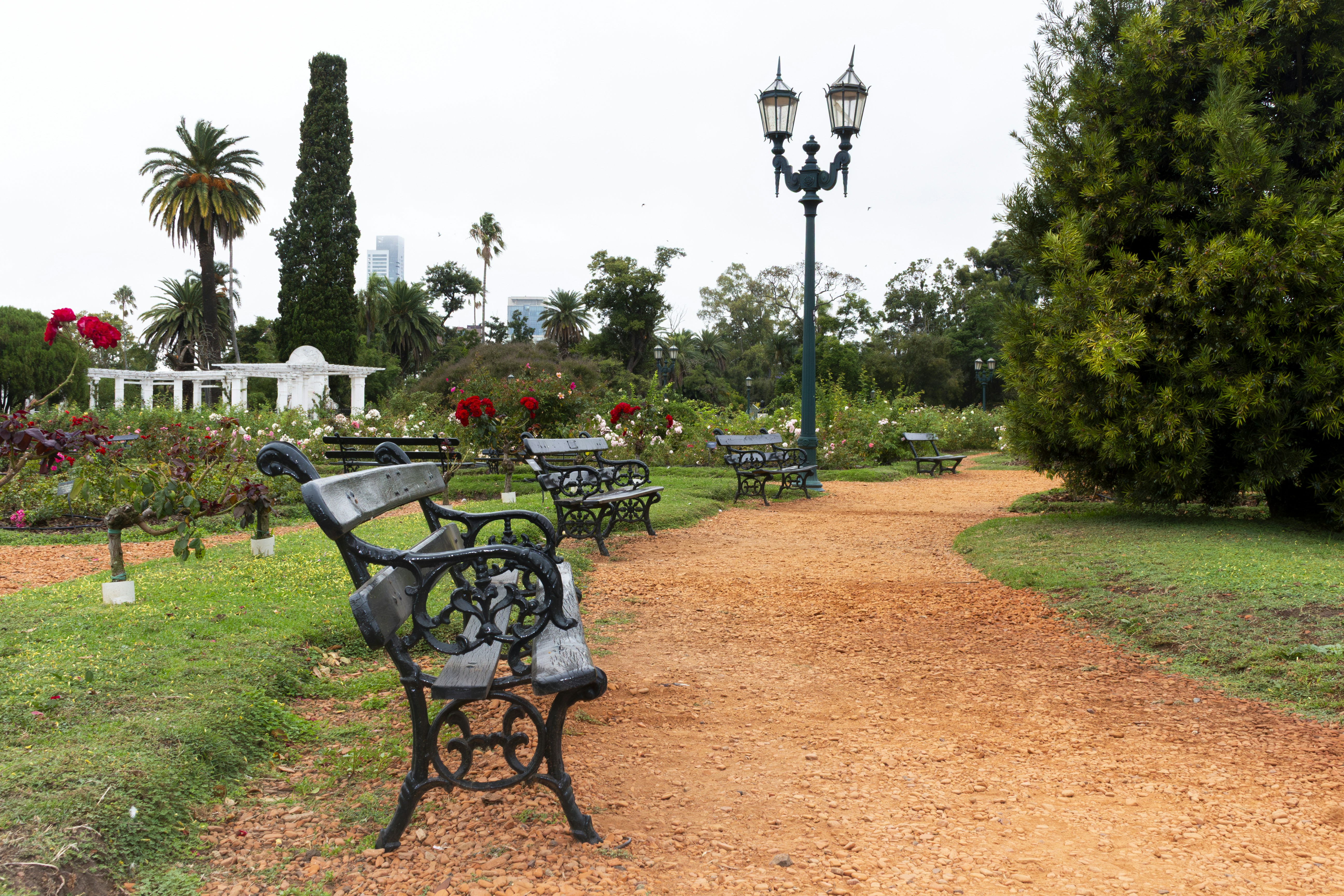 Sunlit Park Pathway Lined with Vintage Benches