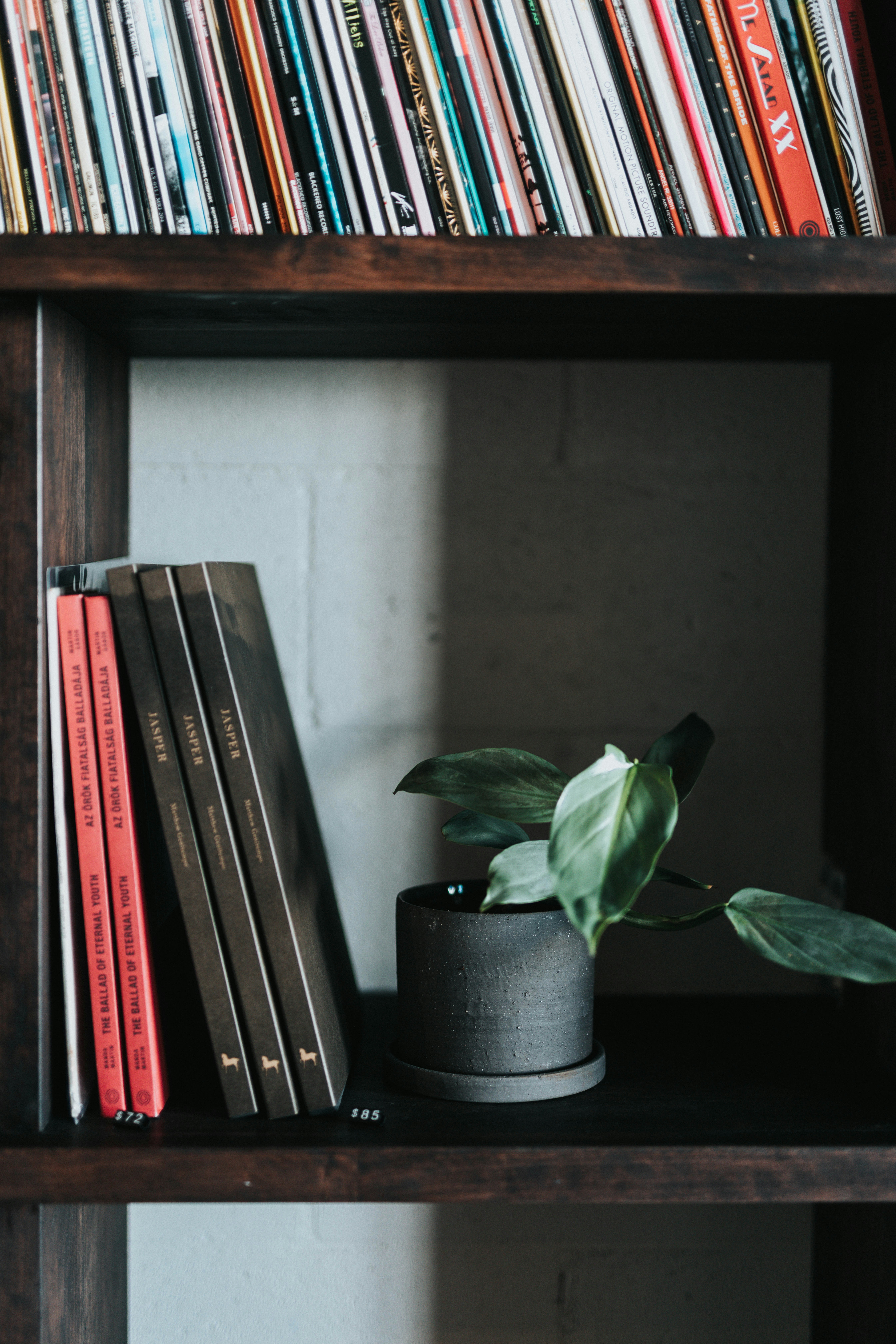 Shelf Spotlight: Green Leaf on a Quiet Library Shelf