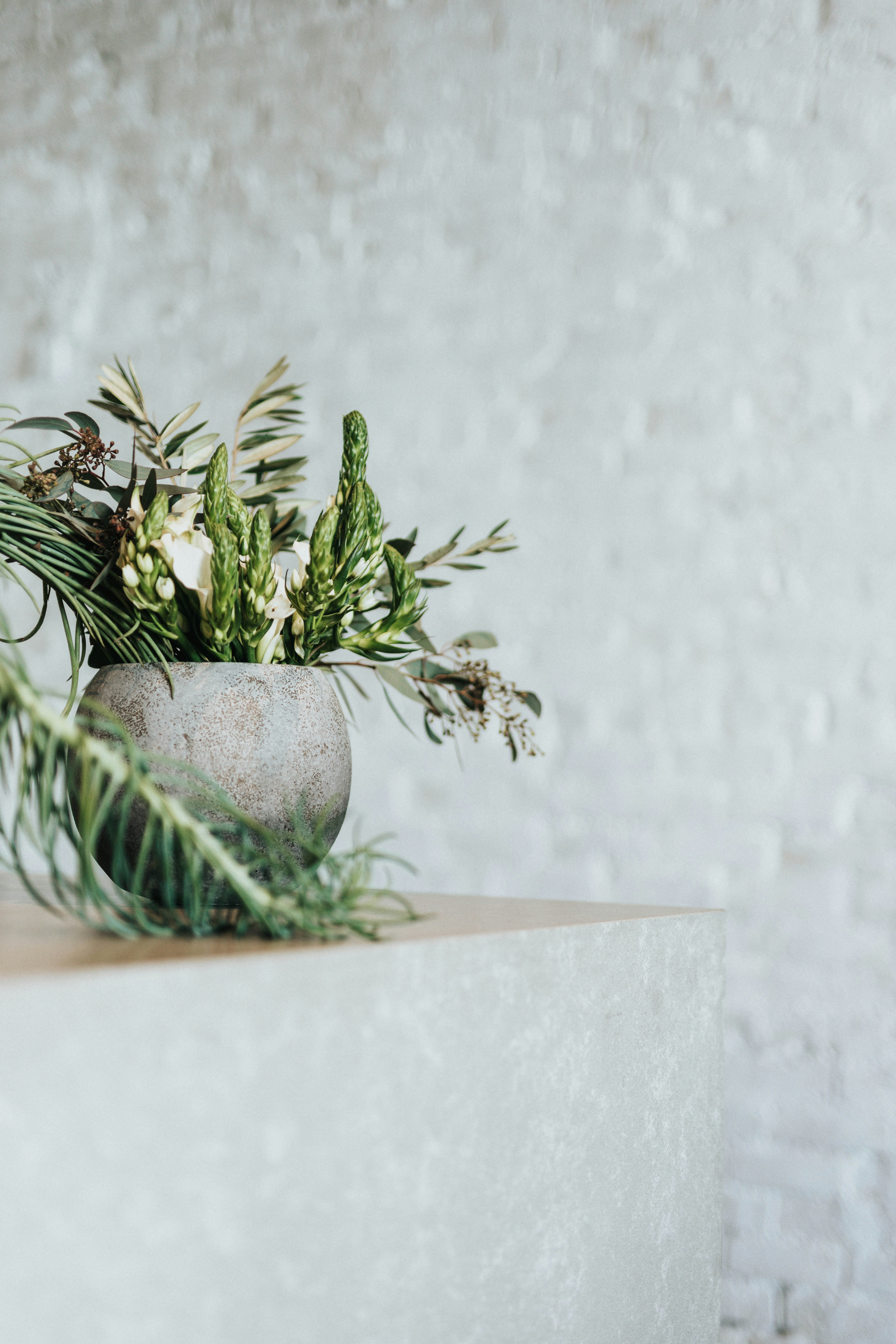 Copper Vase, Verdant Arrangement Resting on a Pale Tablestep