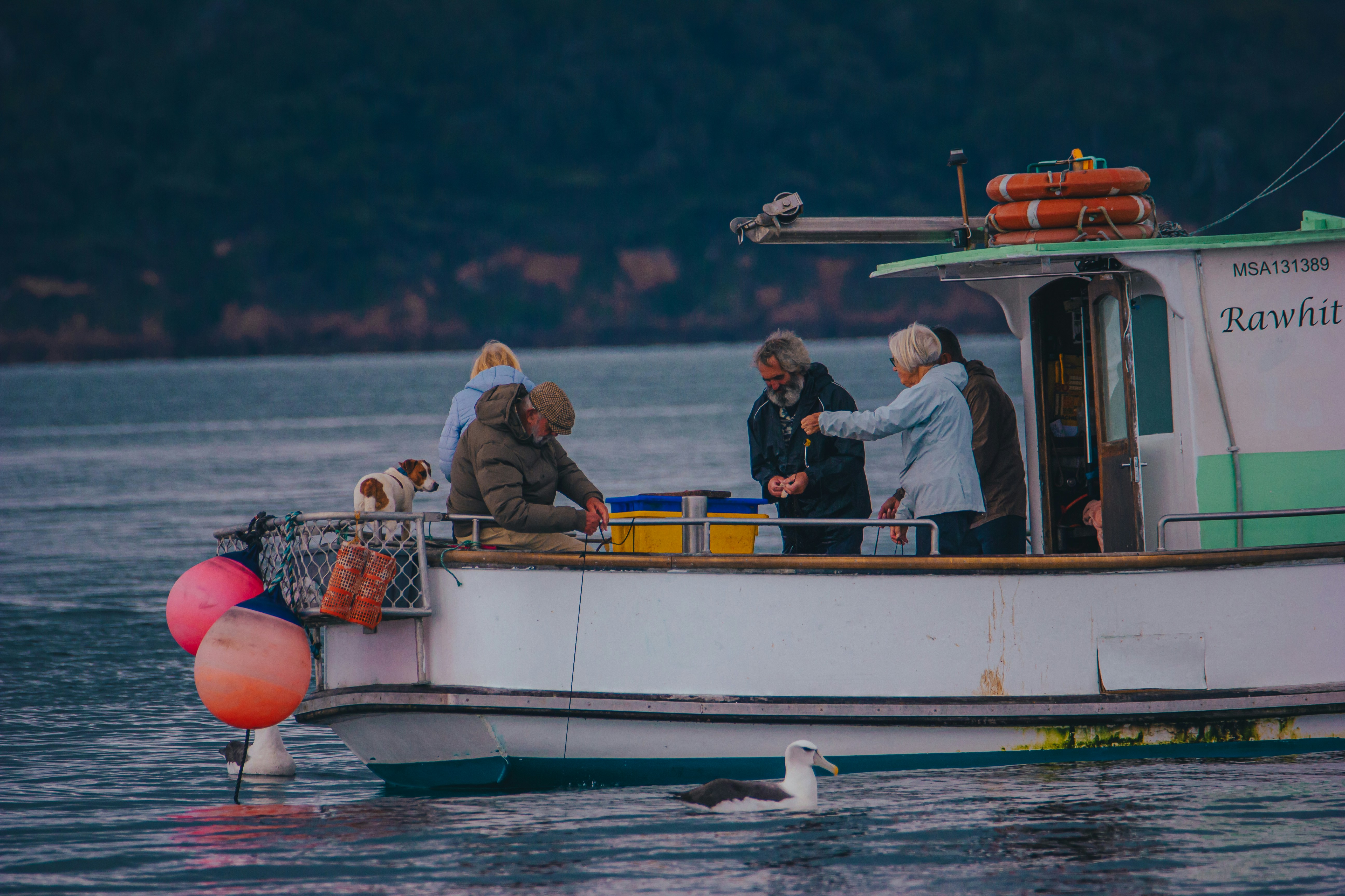 Small fishing boat with people on deck floats in calm harbor; a duck glides nearby, anchored buoys visible at the bow.