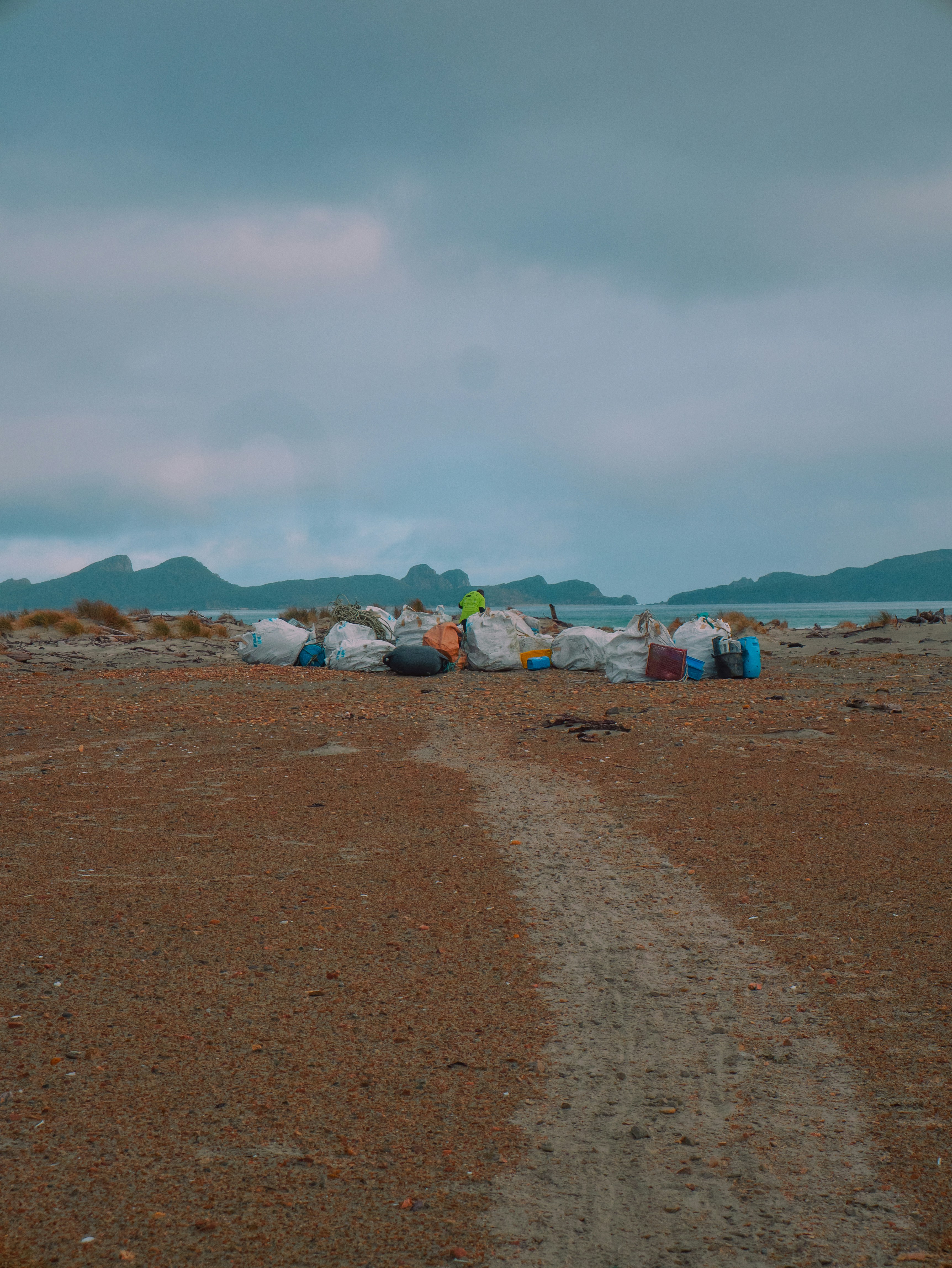 Tidal Line of Littered Tranquility