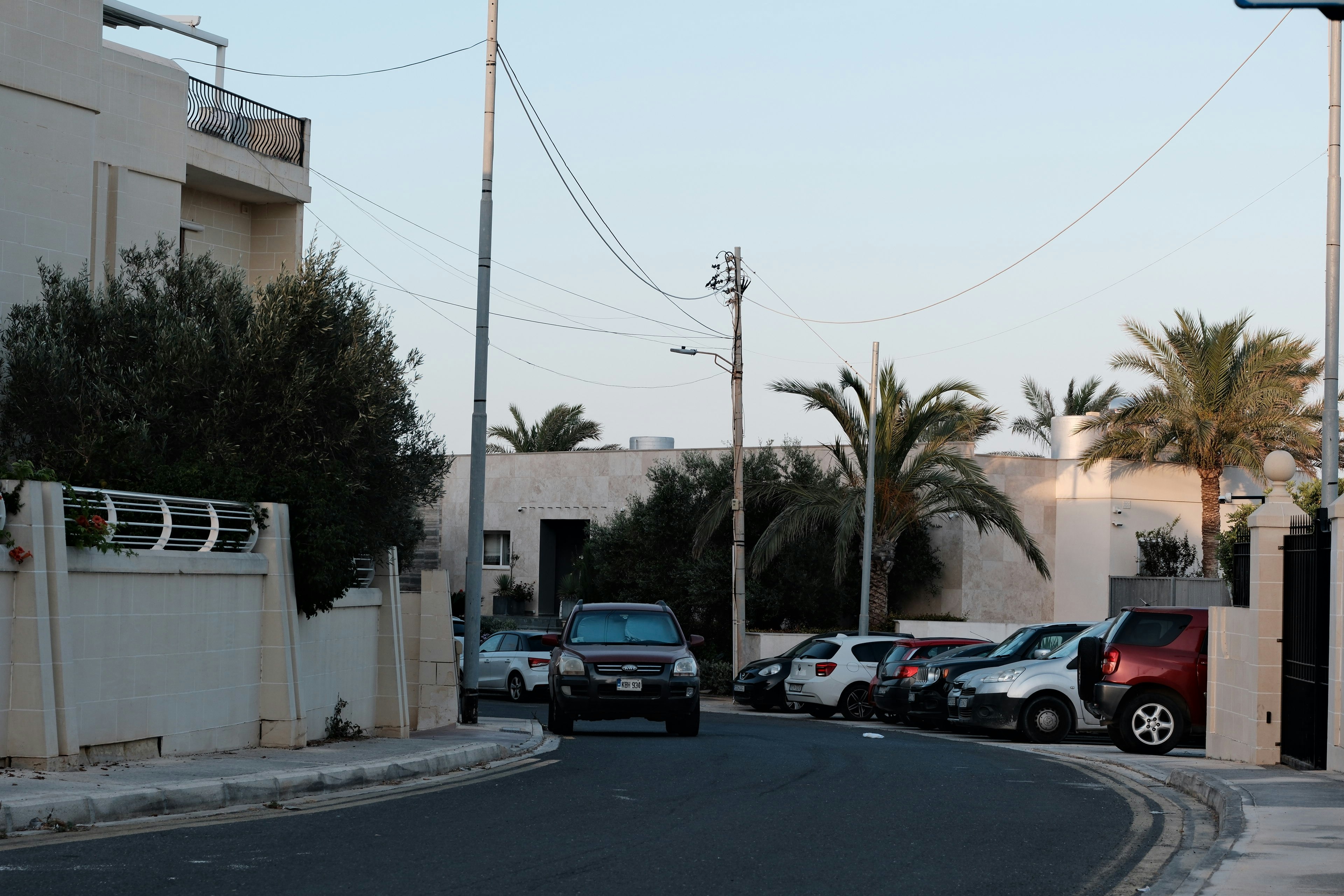 Car-lined Crescent: A Quiet Suburban Street Bending Toward Evening