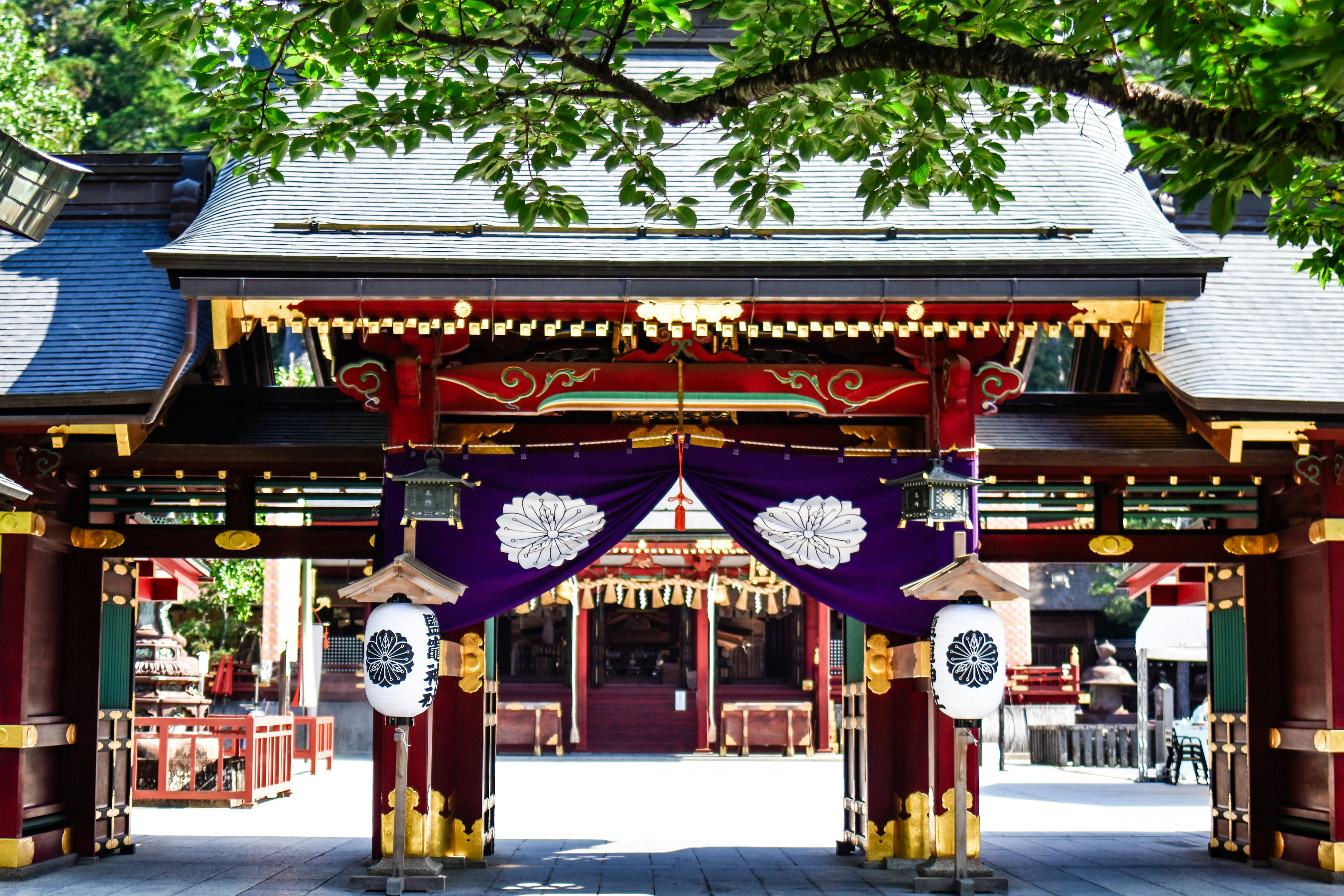 Gateway Shrine in Full Bloom: Lanterns, Rites, and Sacred Color
