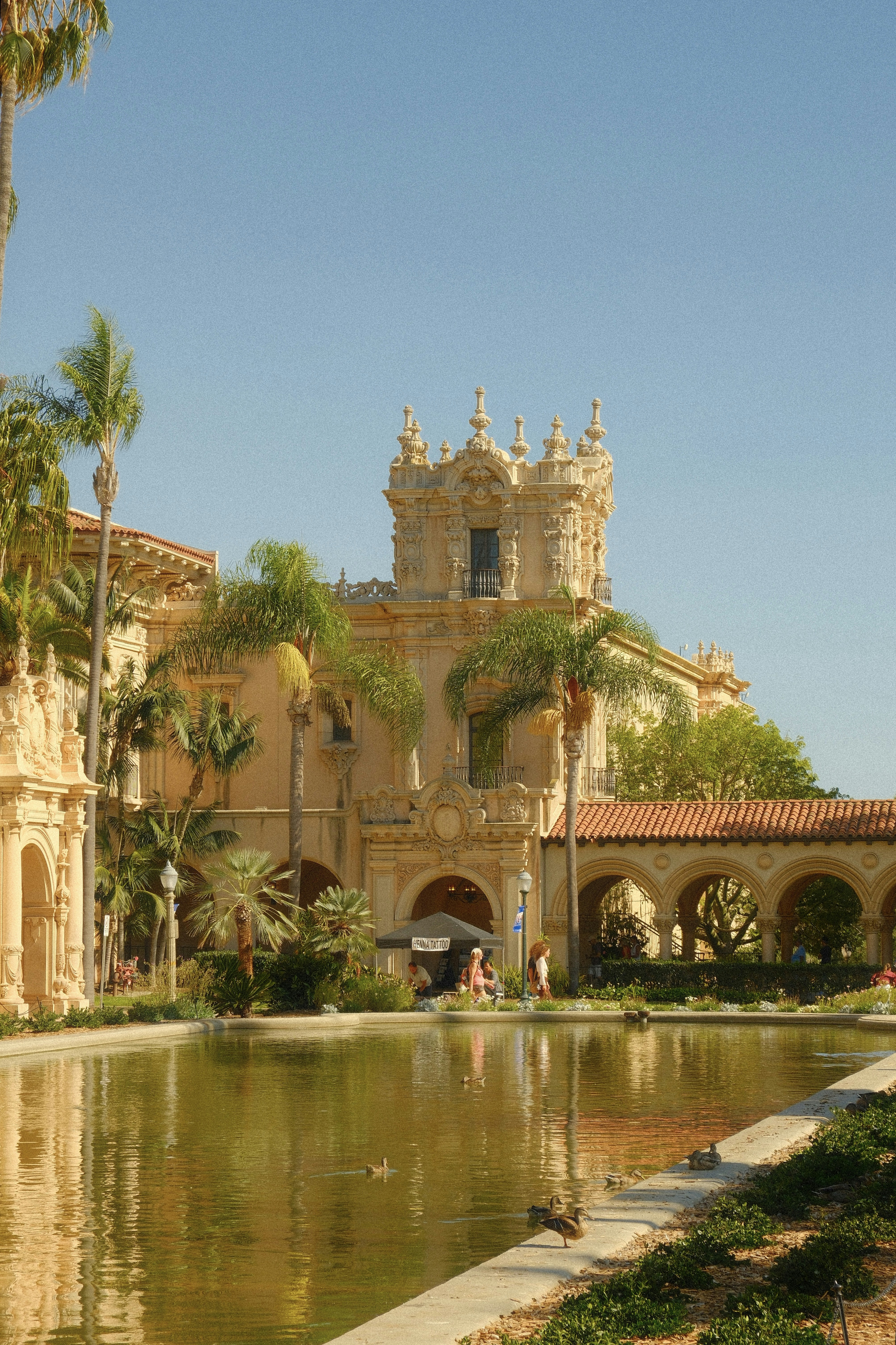 Sunlit Baroque Splendor Beneath Palm Arches