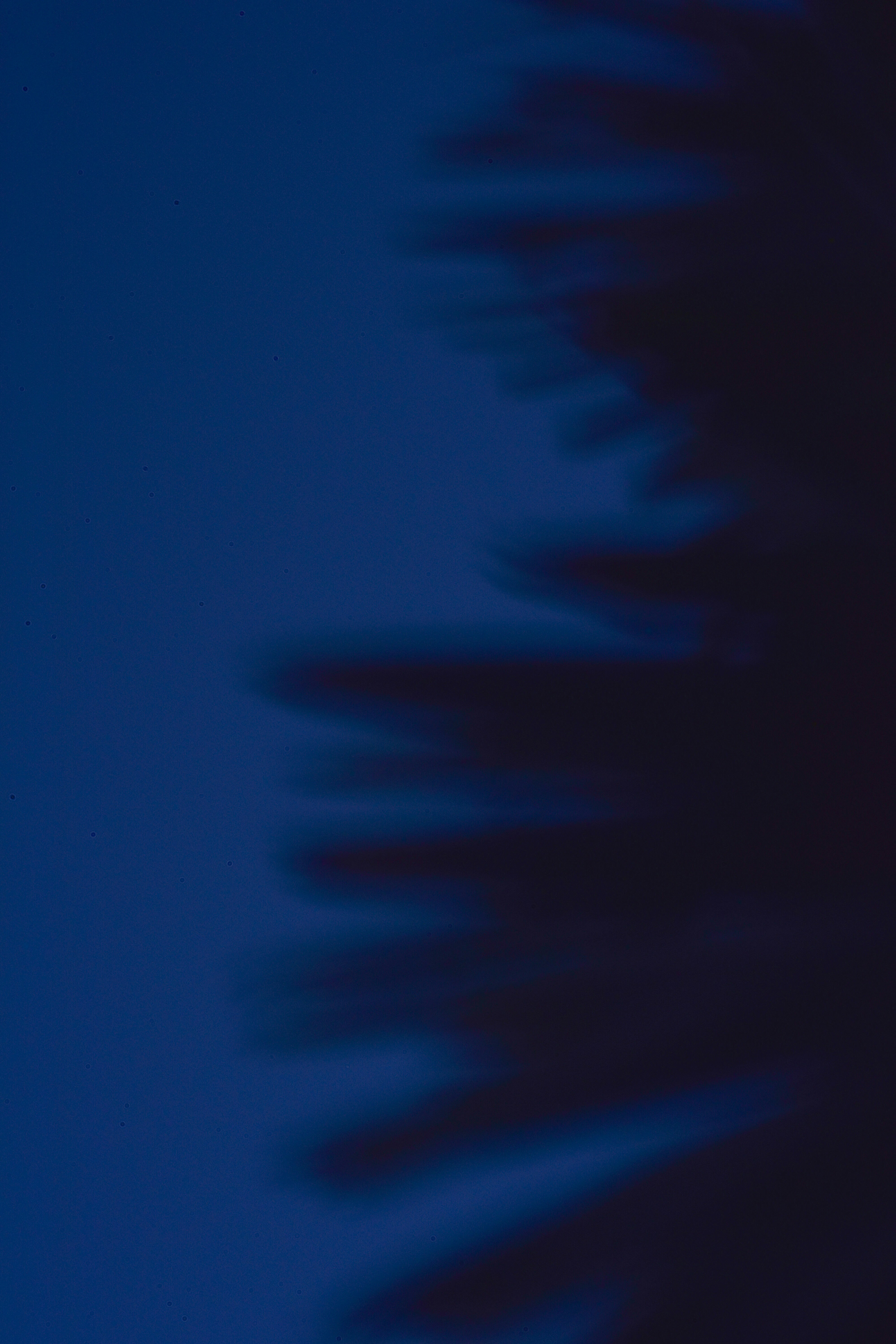 Silhouette in Twilight: Blurred Pines on a Deep Blue Night
