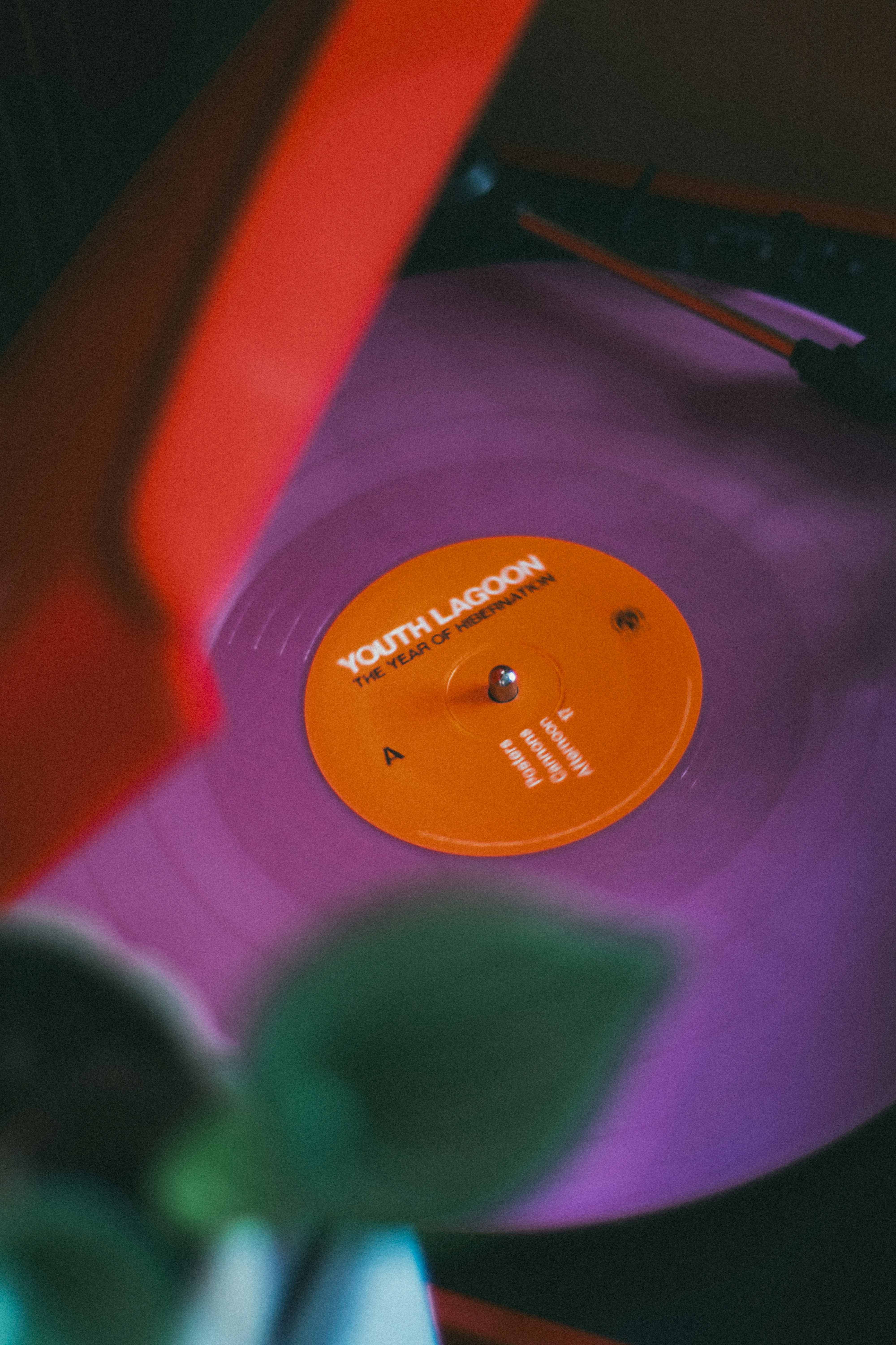 Violet Groove: A Spin of Youth in Vinyl Bloom