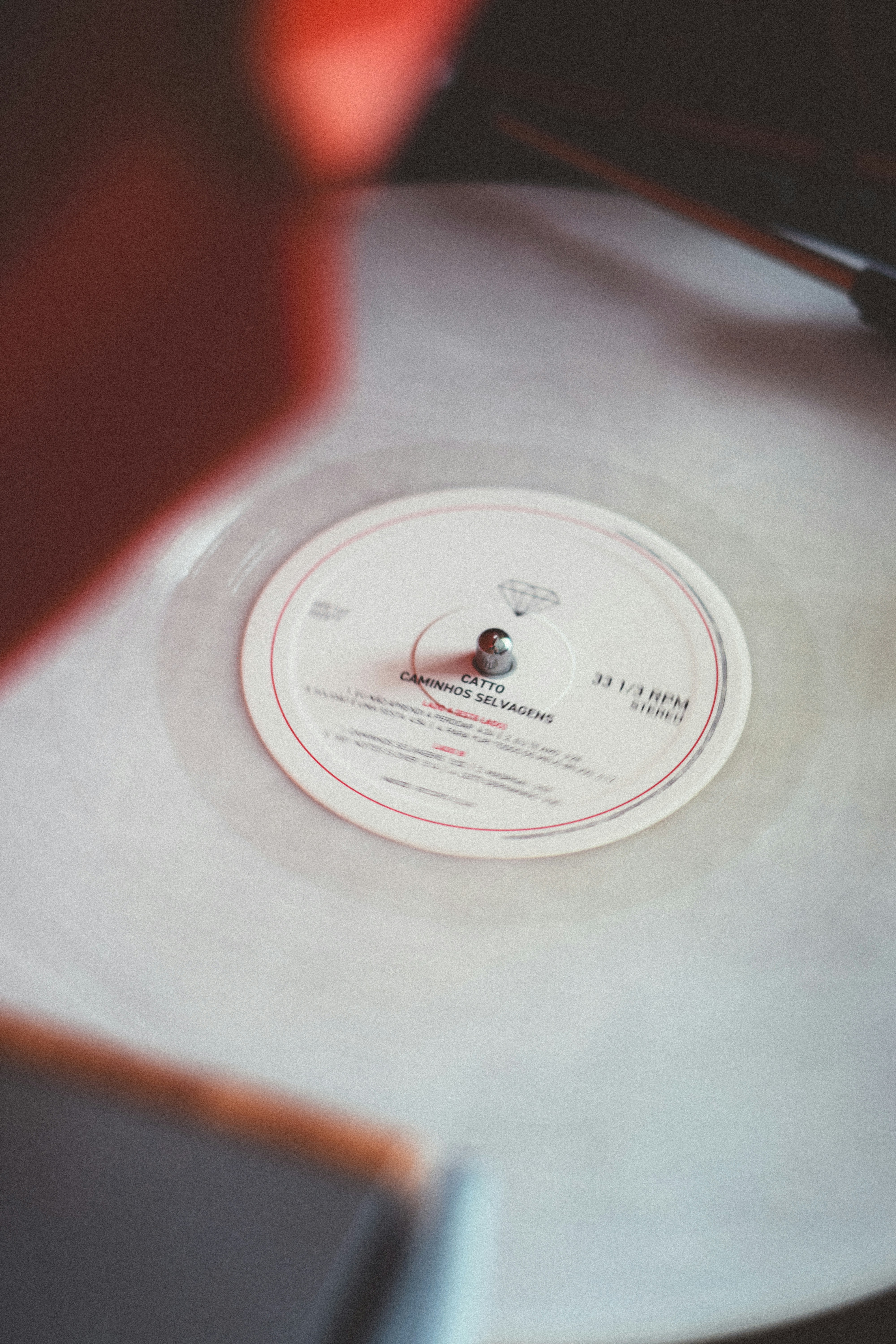 Groove in Focus: Classic Vinyl Under Soft Light