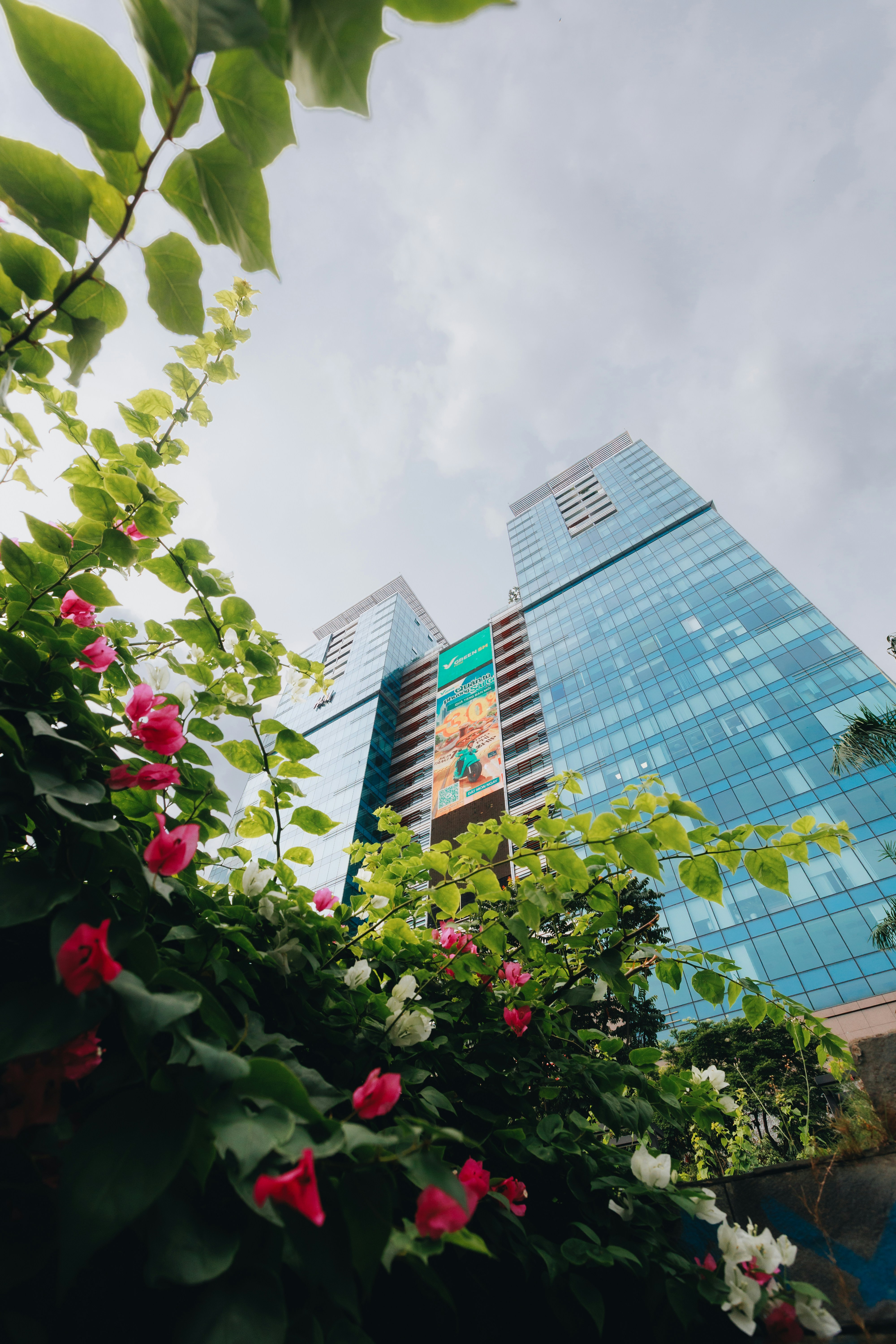 Glass Skyward: Urban Bloom Framing a Sky-Blue Tower