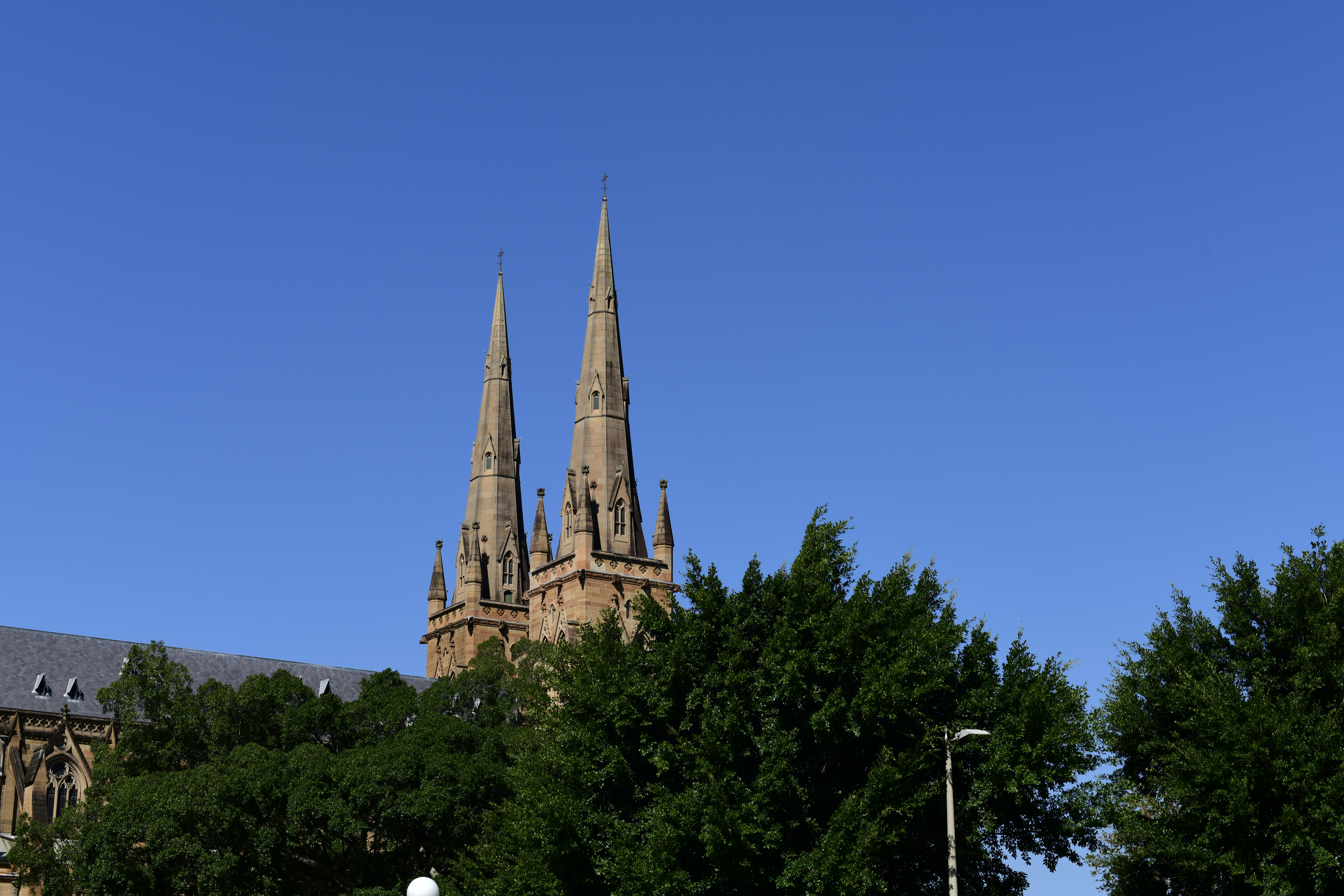 Twin Spires Rising Above the Trees