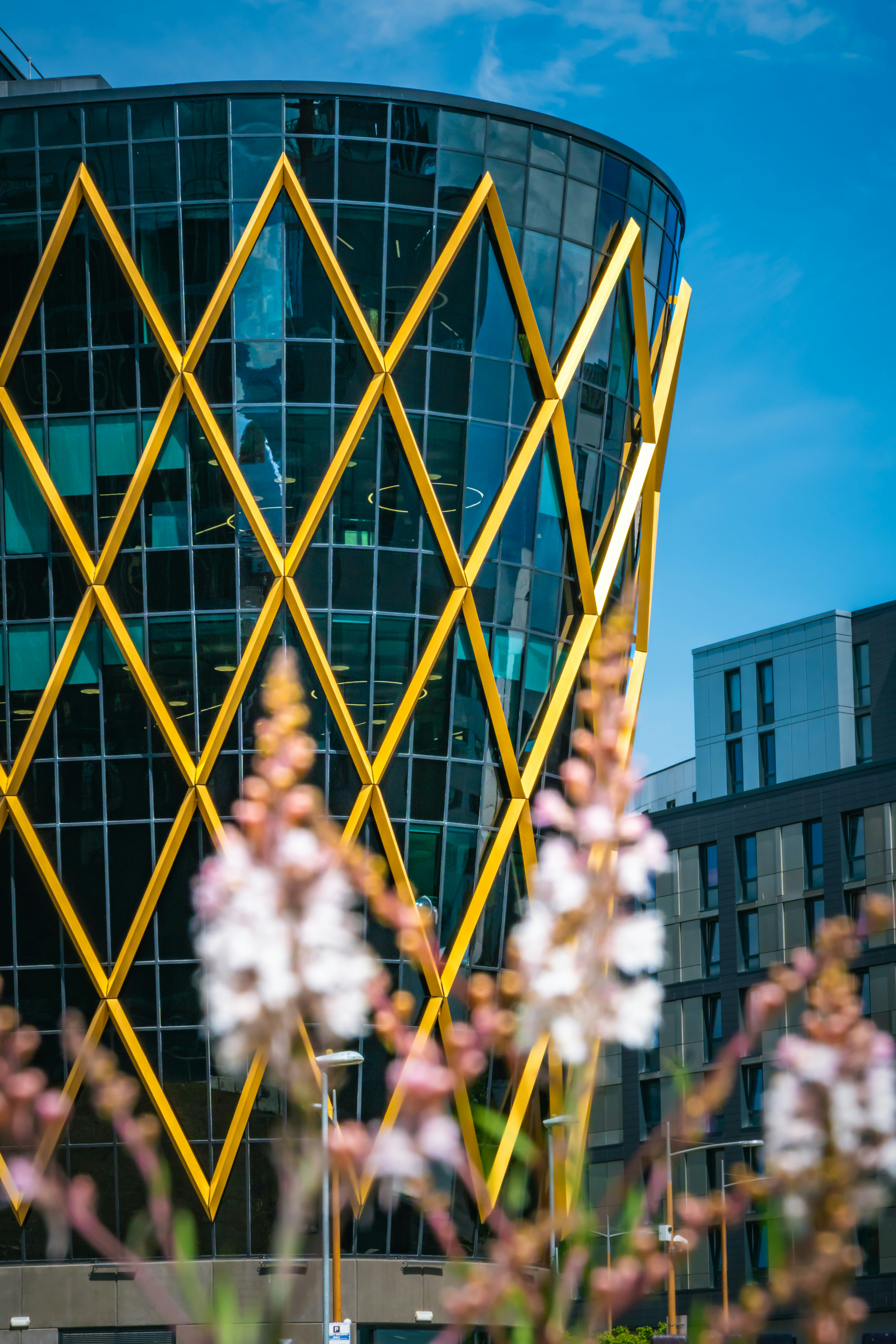 Golden Lattice Glimpse: Facade of a Modern Prism