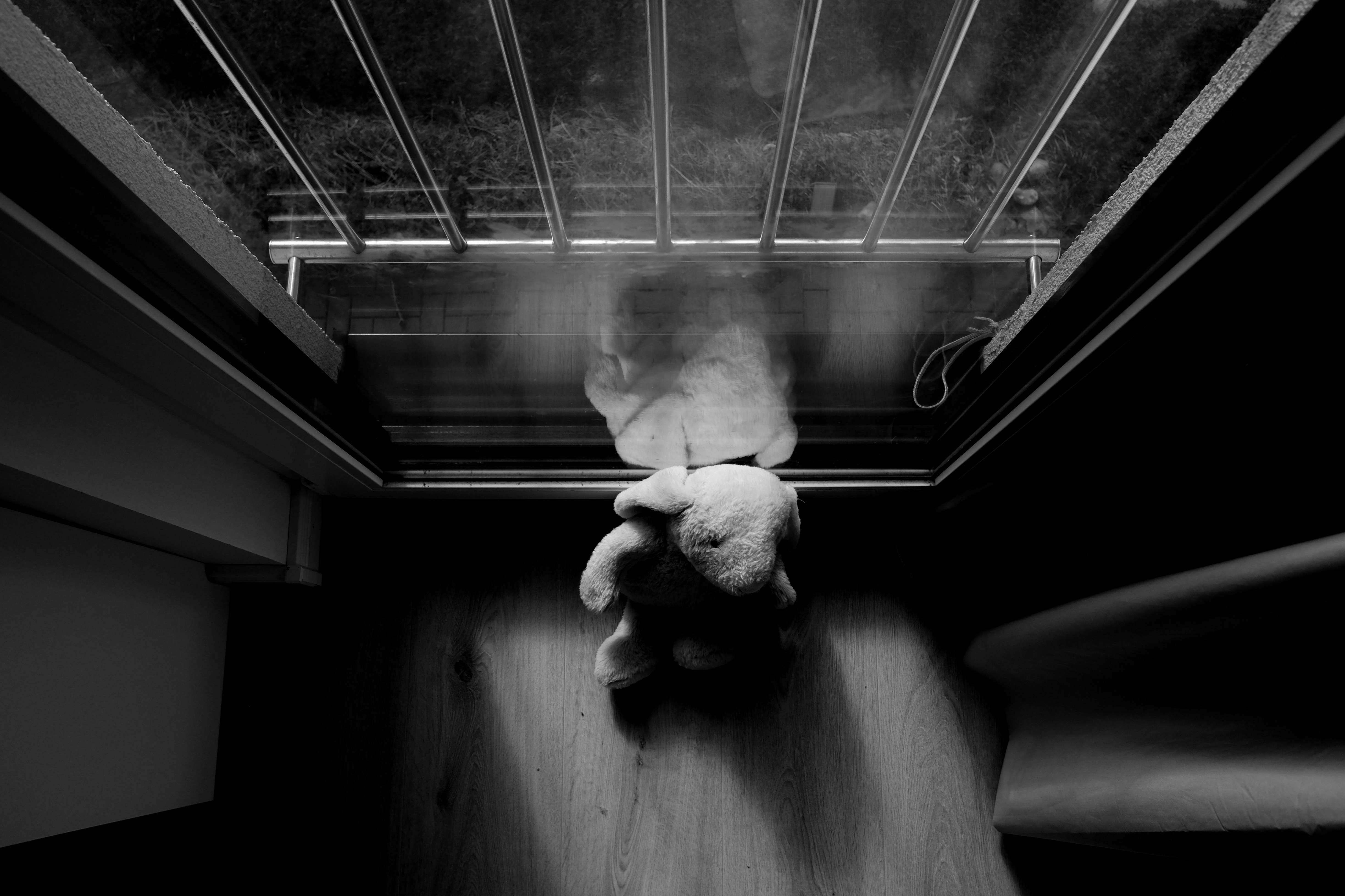 Teddy in the Threshold: A Quiet Grayscale Moment at the Doorstep