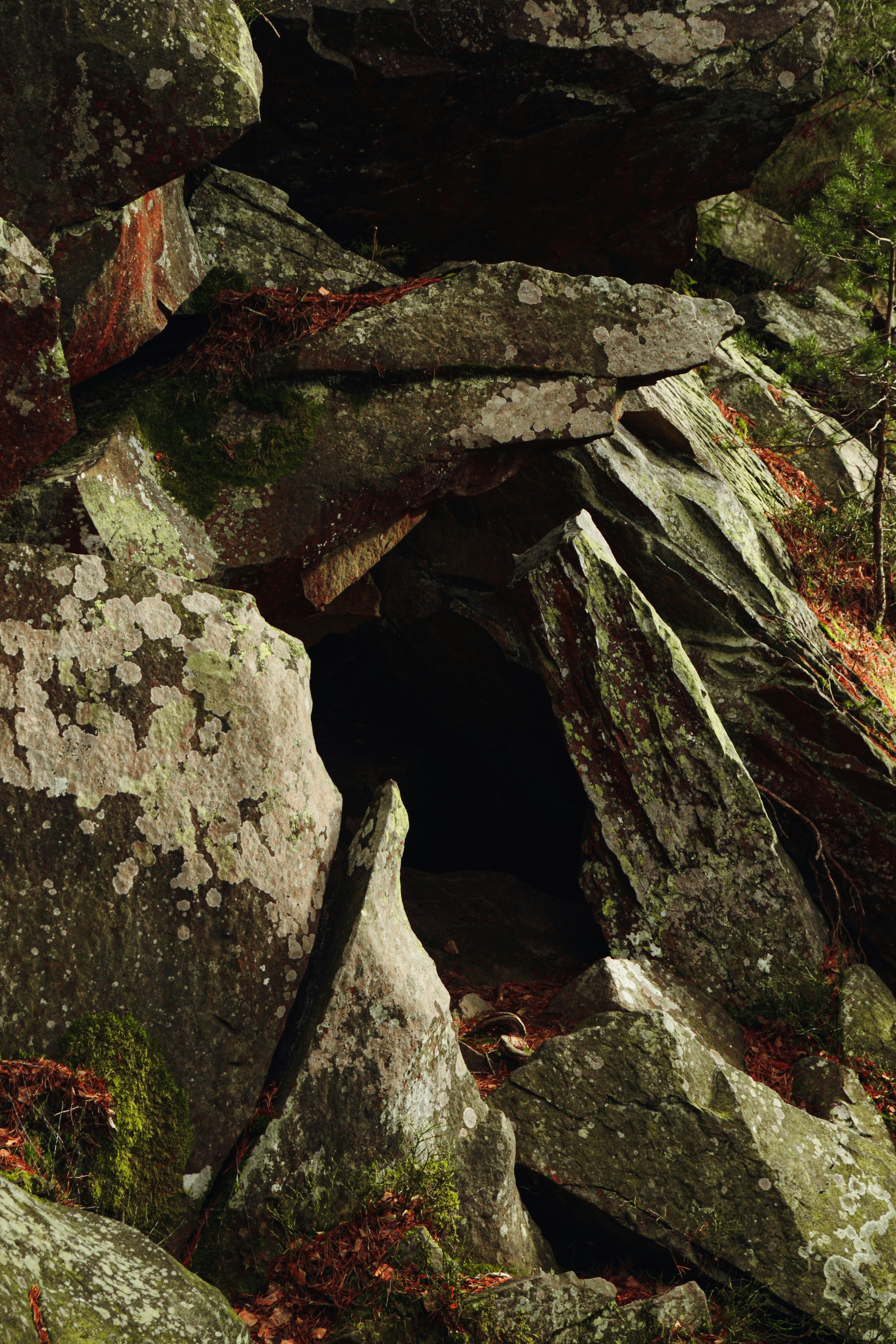 Ancient moss-covered rock
