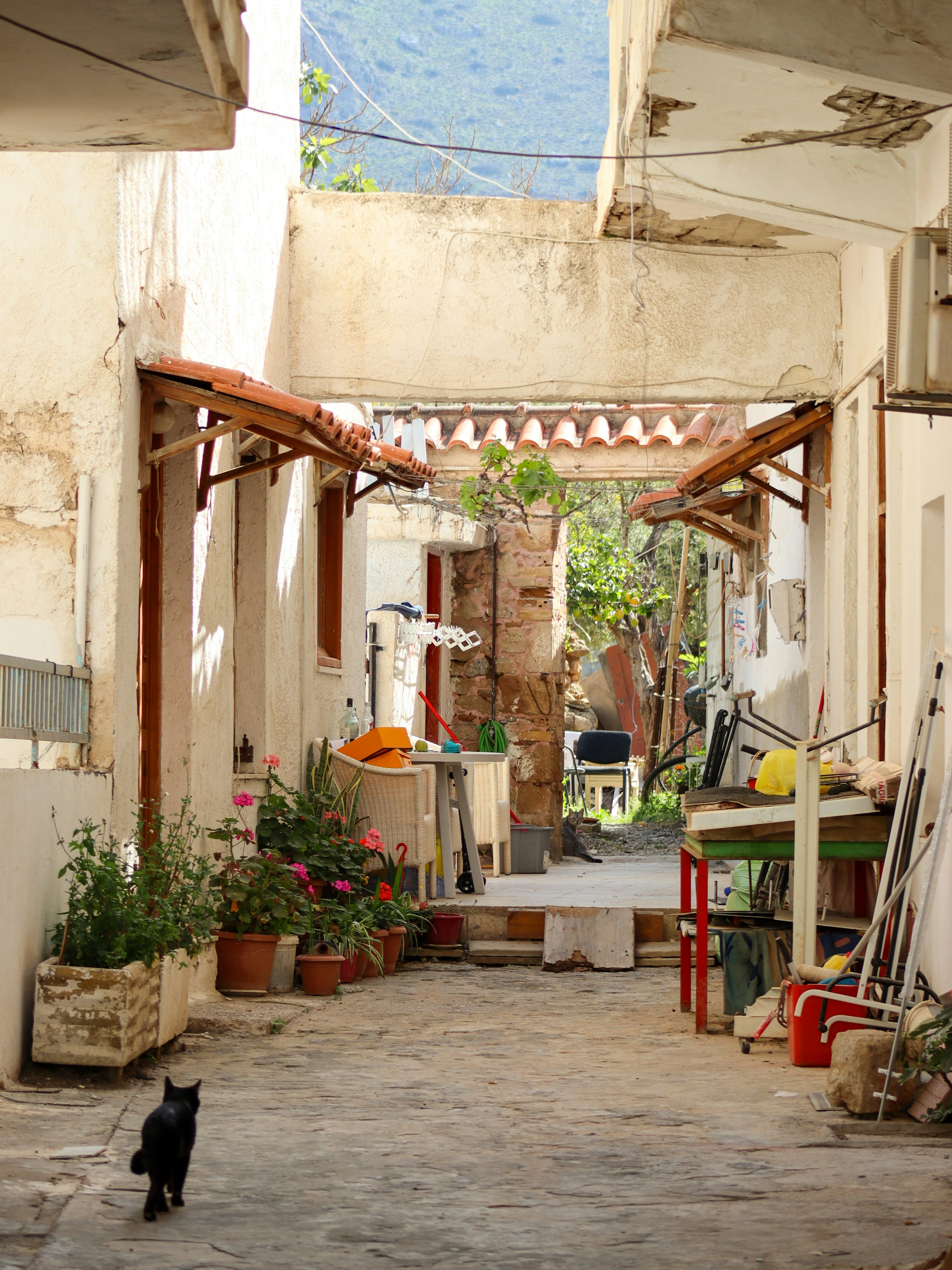 Alleyway Oasis: A Sunlit Lane Framed by Pots and Tools