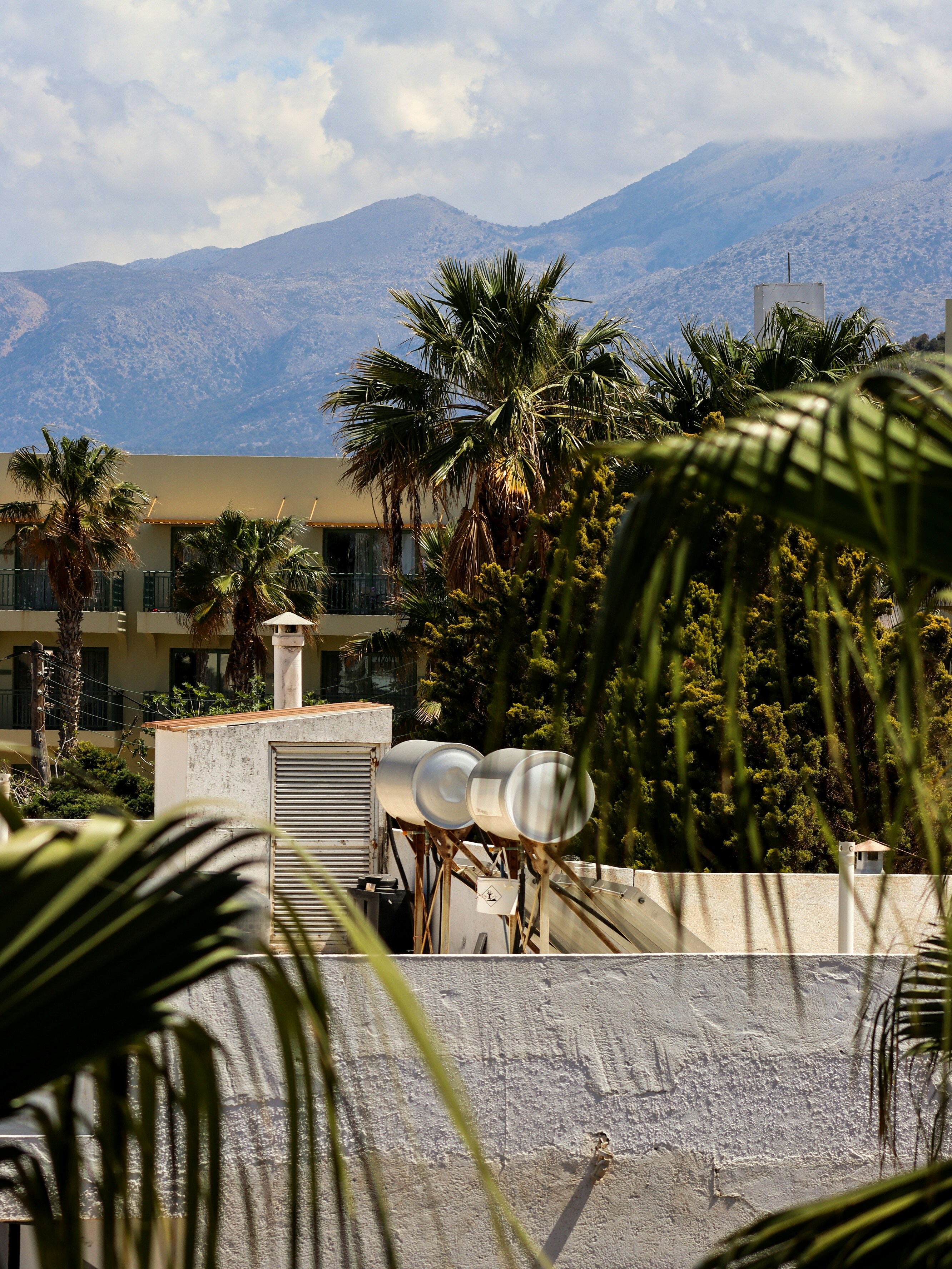Palm-fringed rooftop with distant mountains under a bright sky