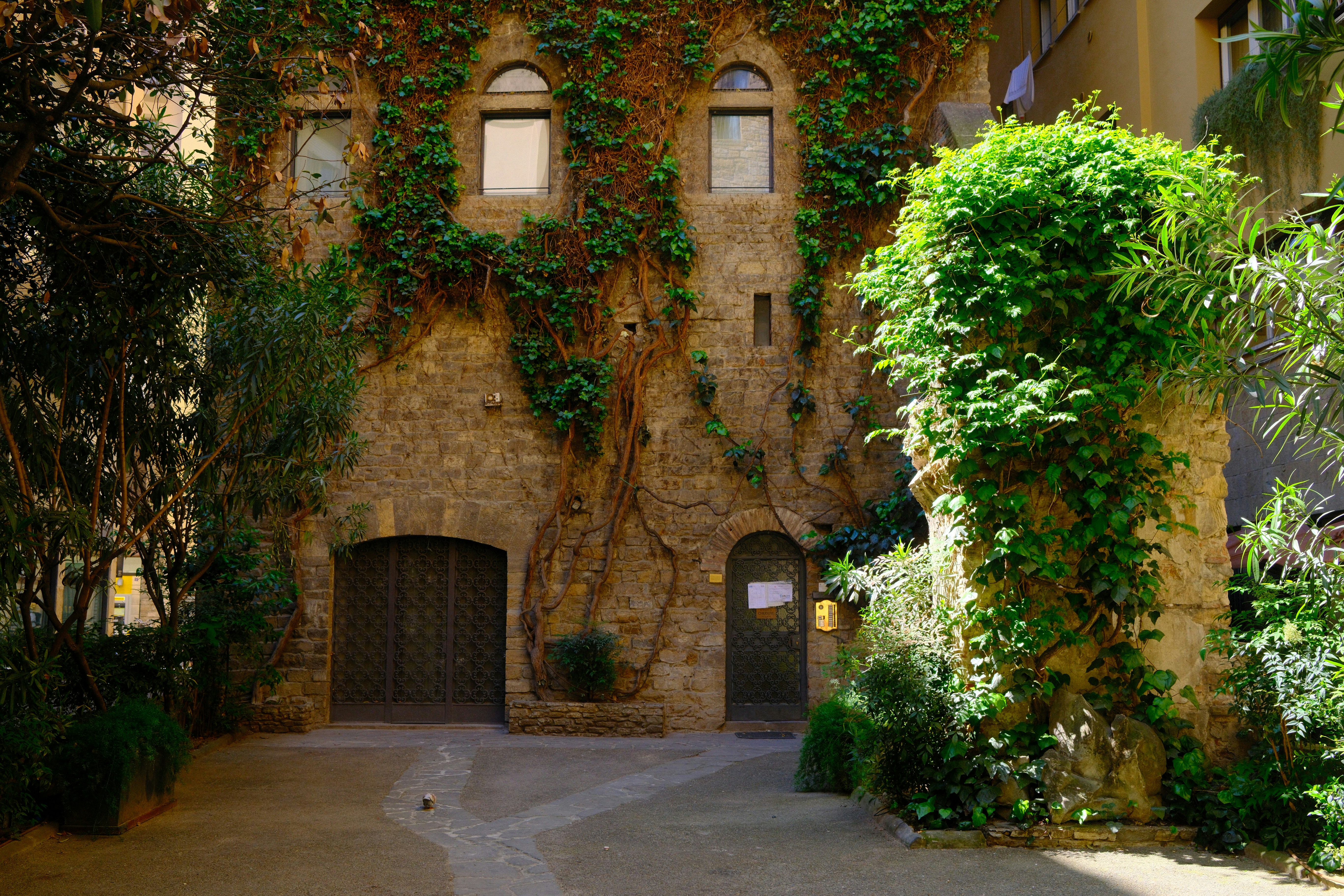 Ivy-Covered Archway and Sunlit Courtyard