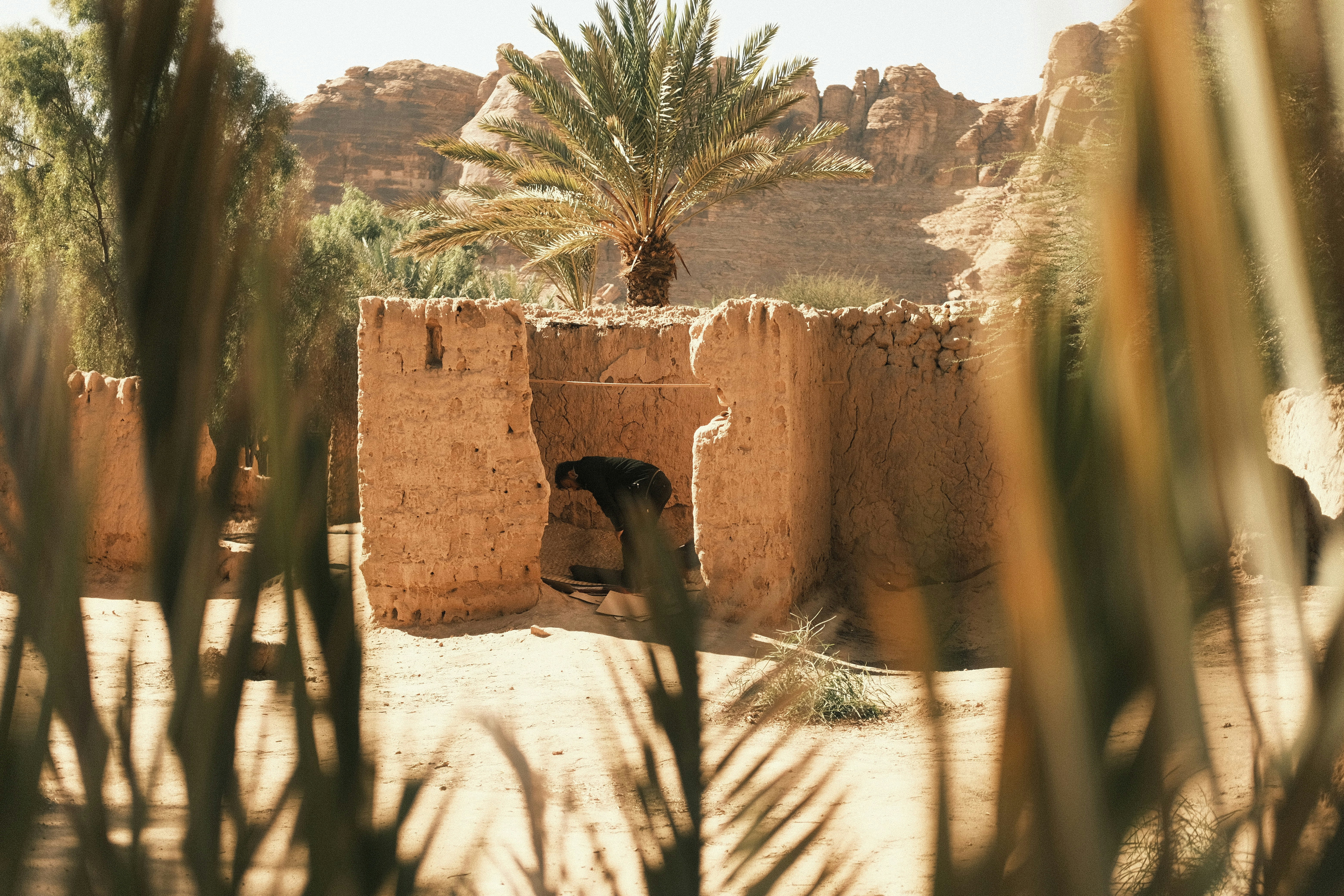 Hidden Oasis Doorway: Sunlit Ruins framed by Palm Fronds