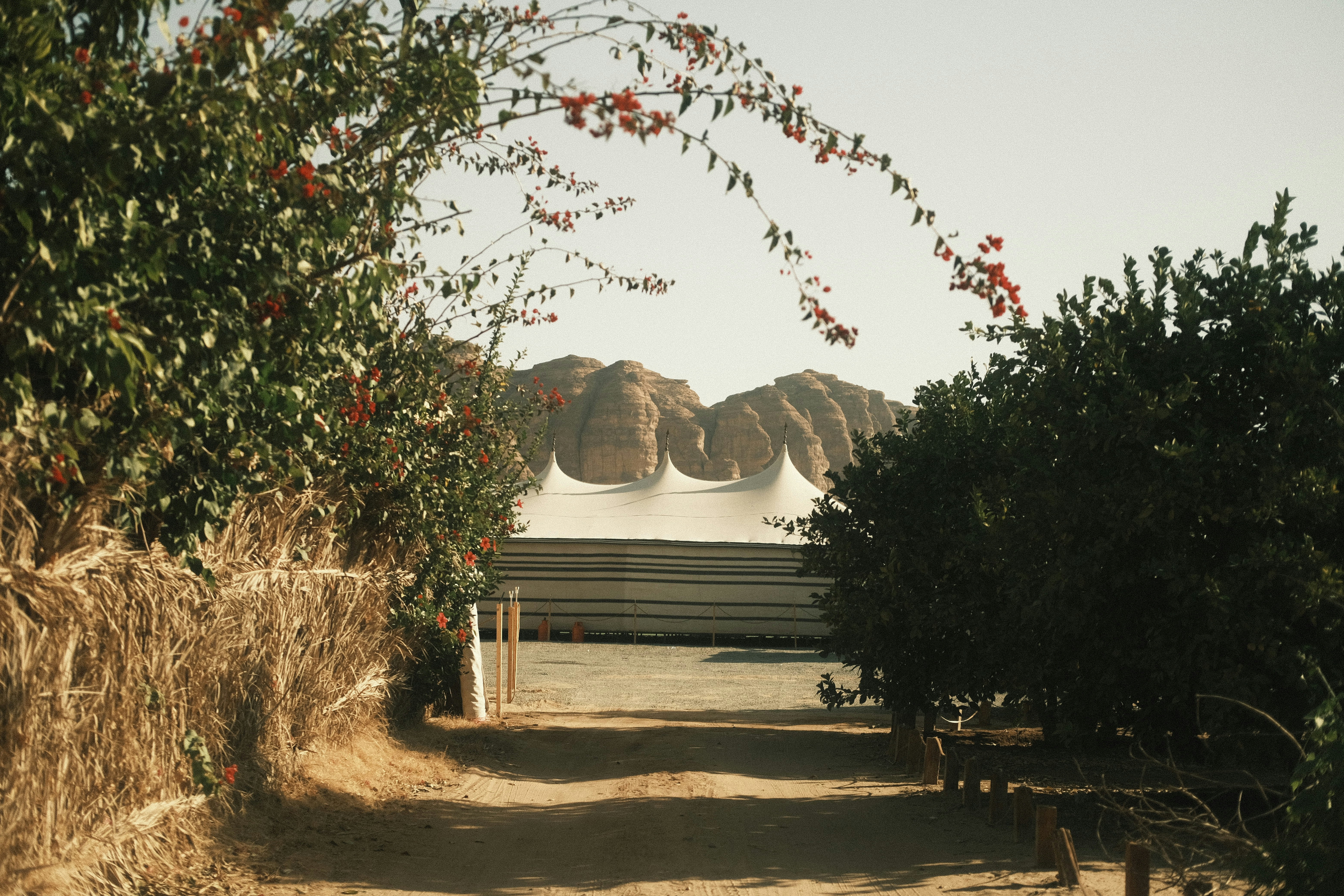 Path to the Distant Beach Cove Framed by Fruit Trees
