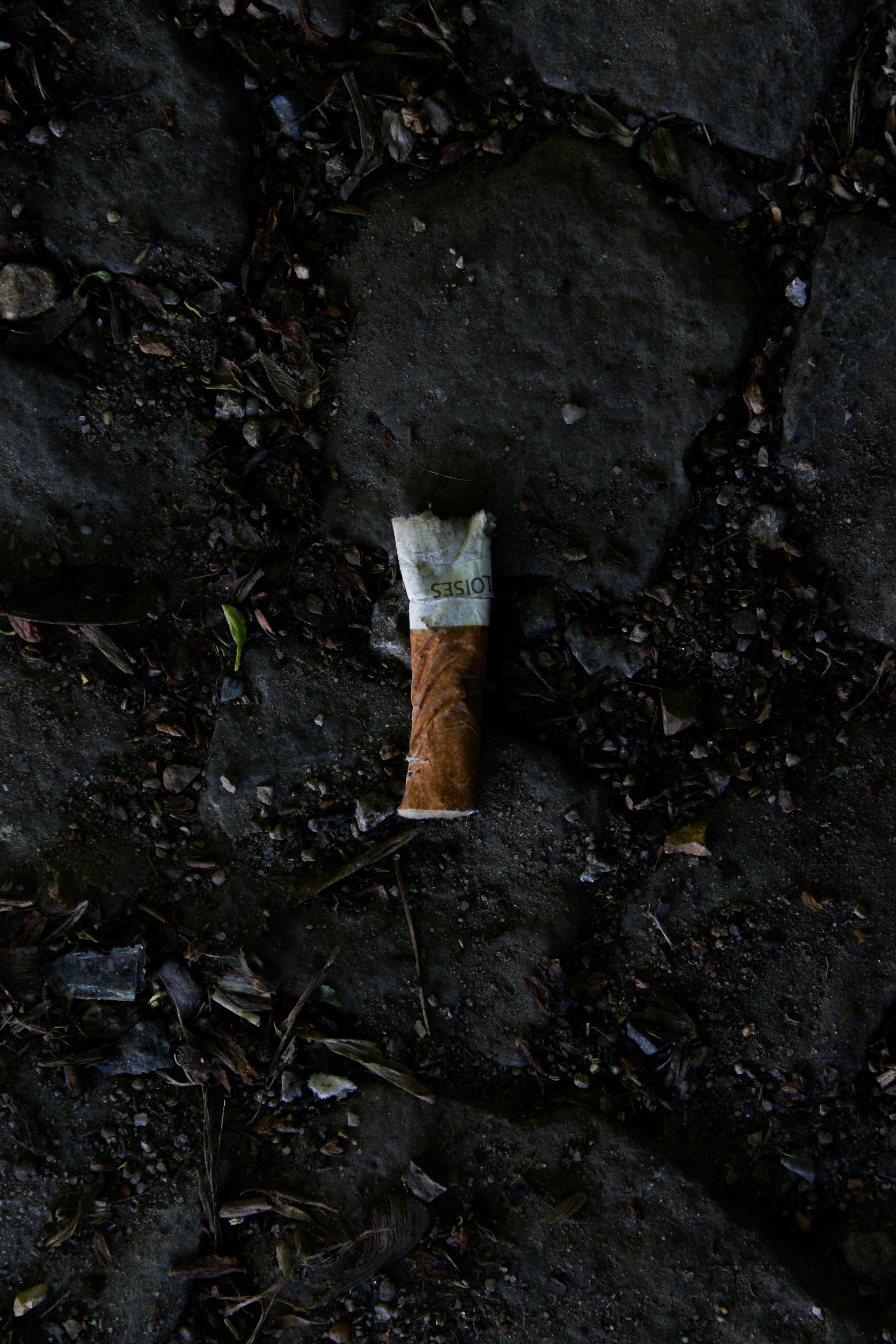 A lone cigarette butt lies abandoned on dark soil, center-framed