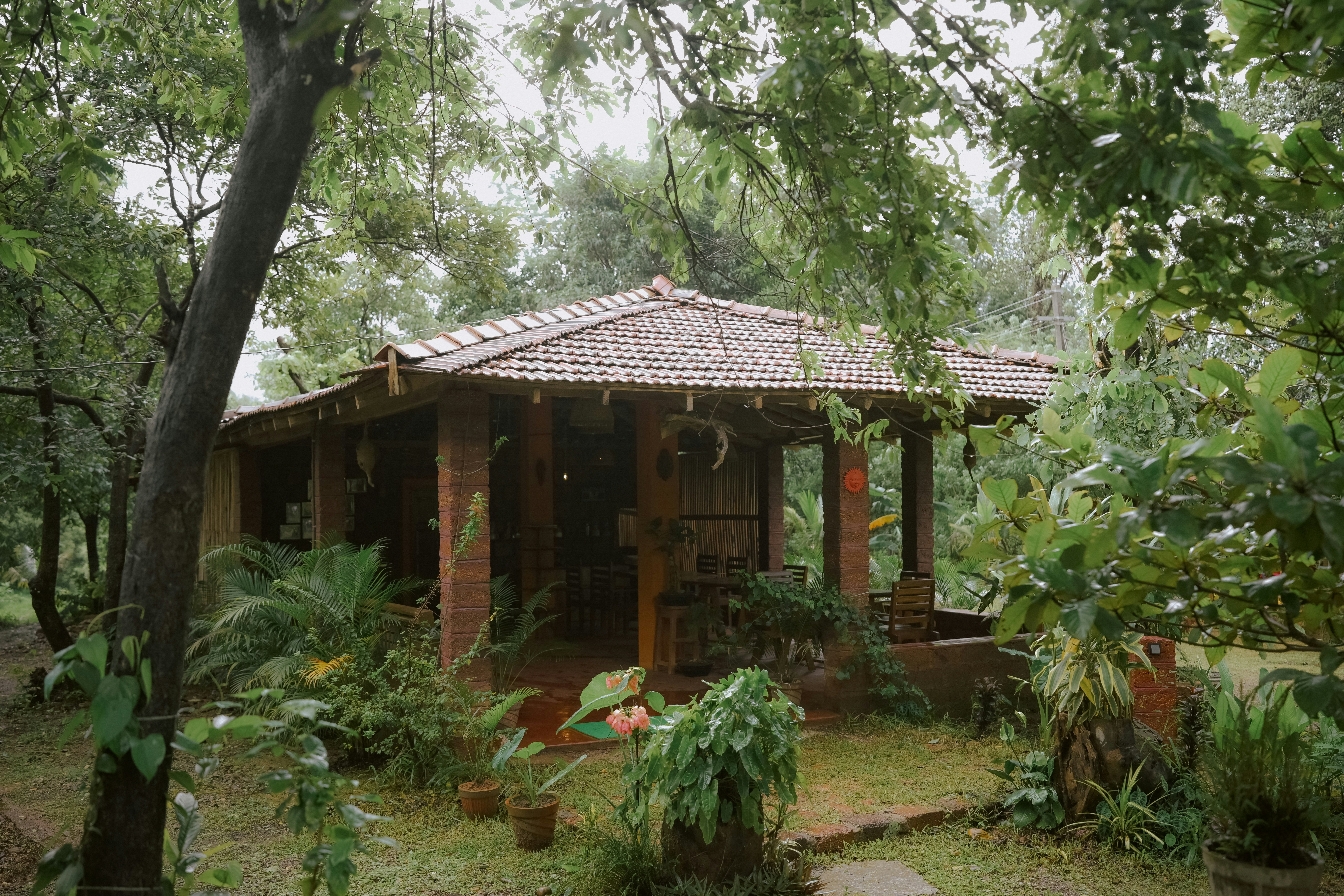 Rustic veranda shelter tucked within lush tropical greenery