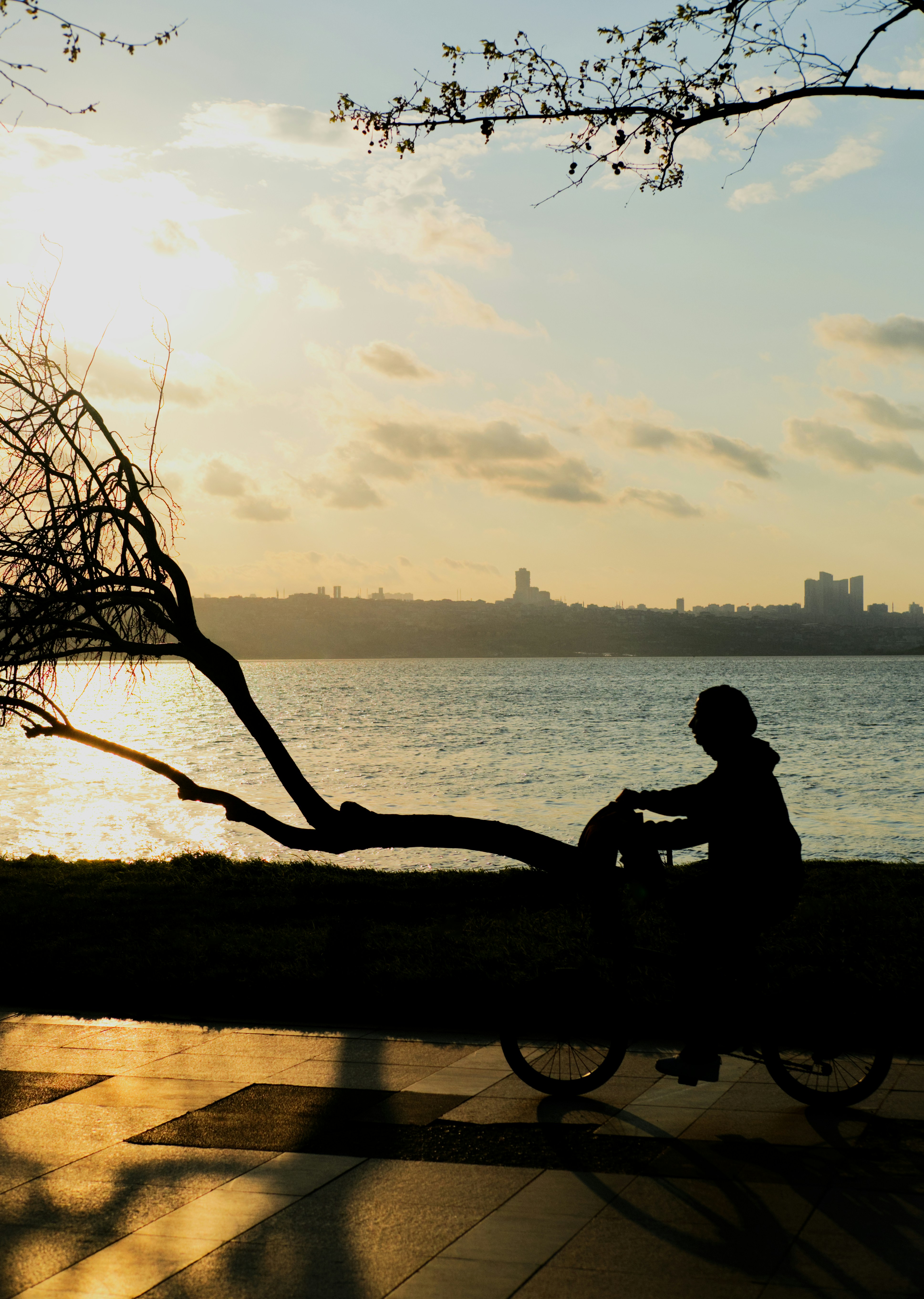 Silhouette on the Riverside: A Quiet Moment by the Sunlit Horizon