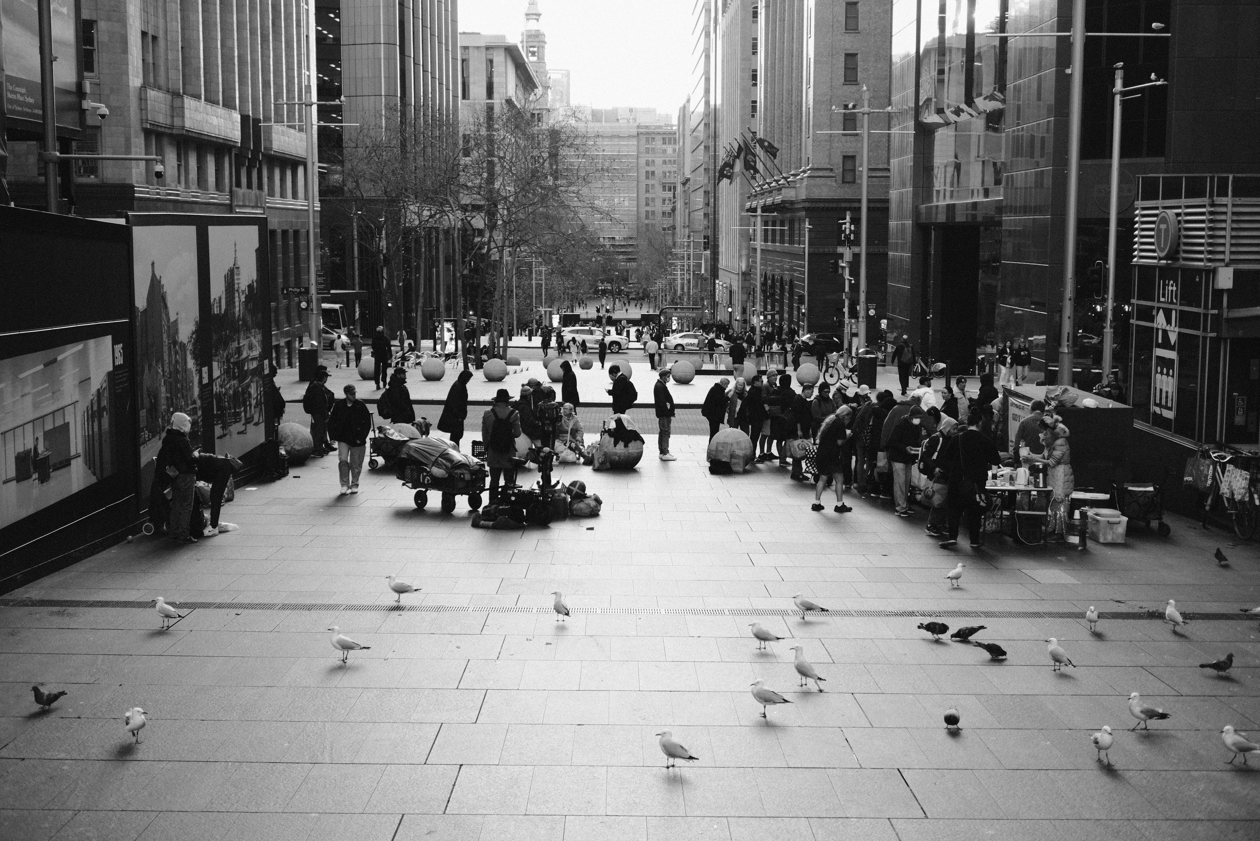 Urban Chorus: Seated Moments in a Quiet City Corridor