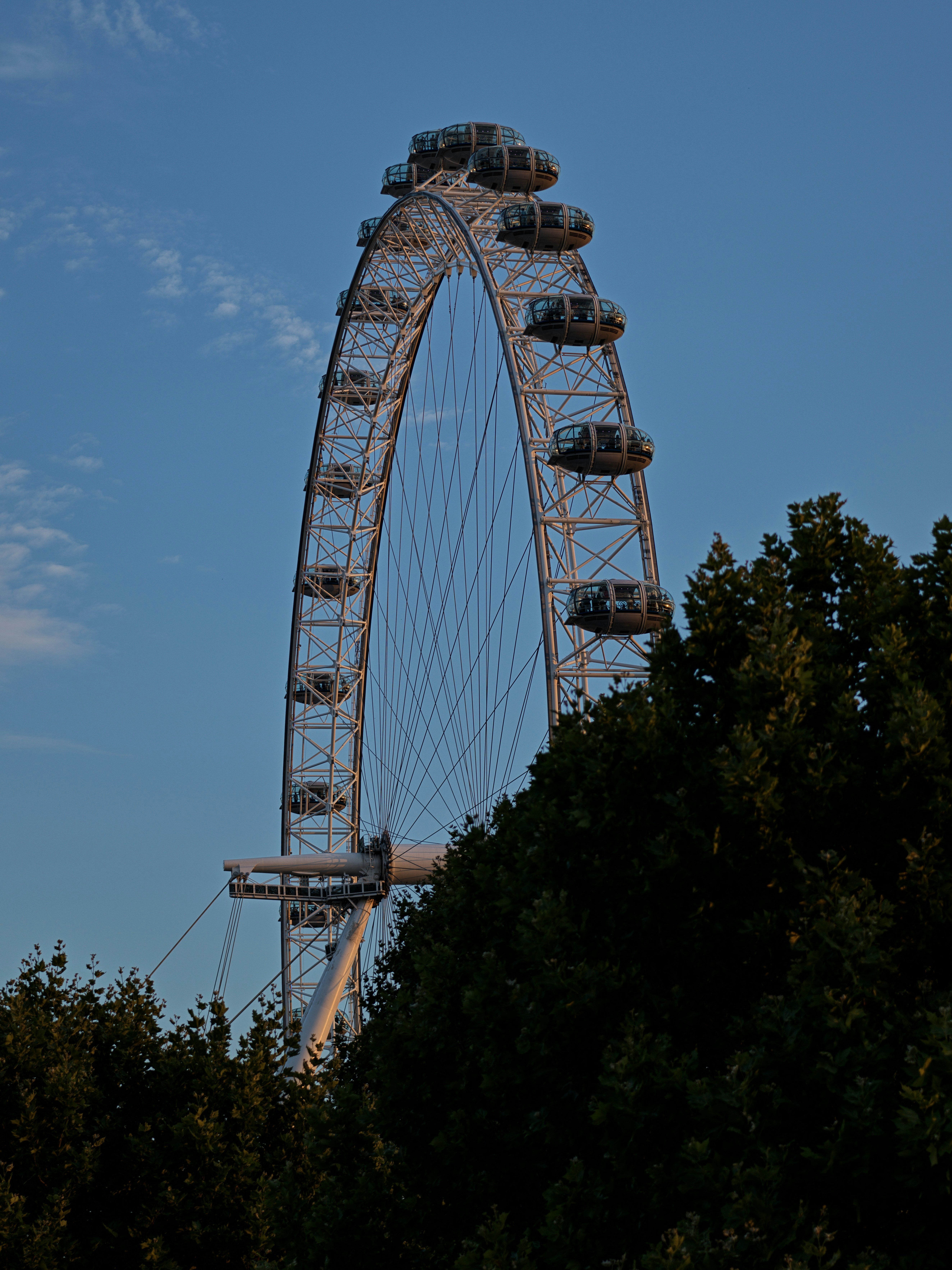 Giant Rail Wheel on Sky: The London Eye Rises Above the Trees at Dusk