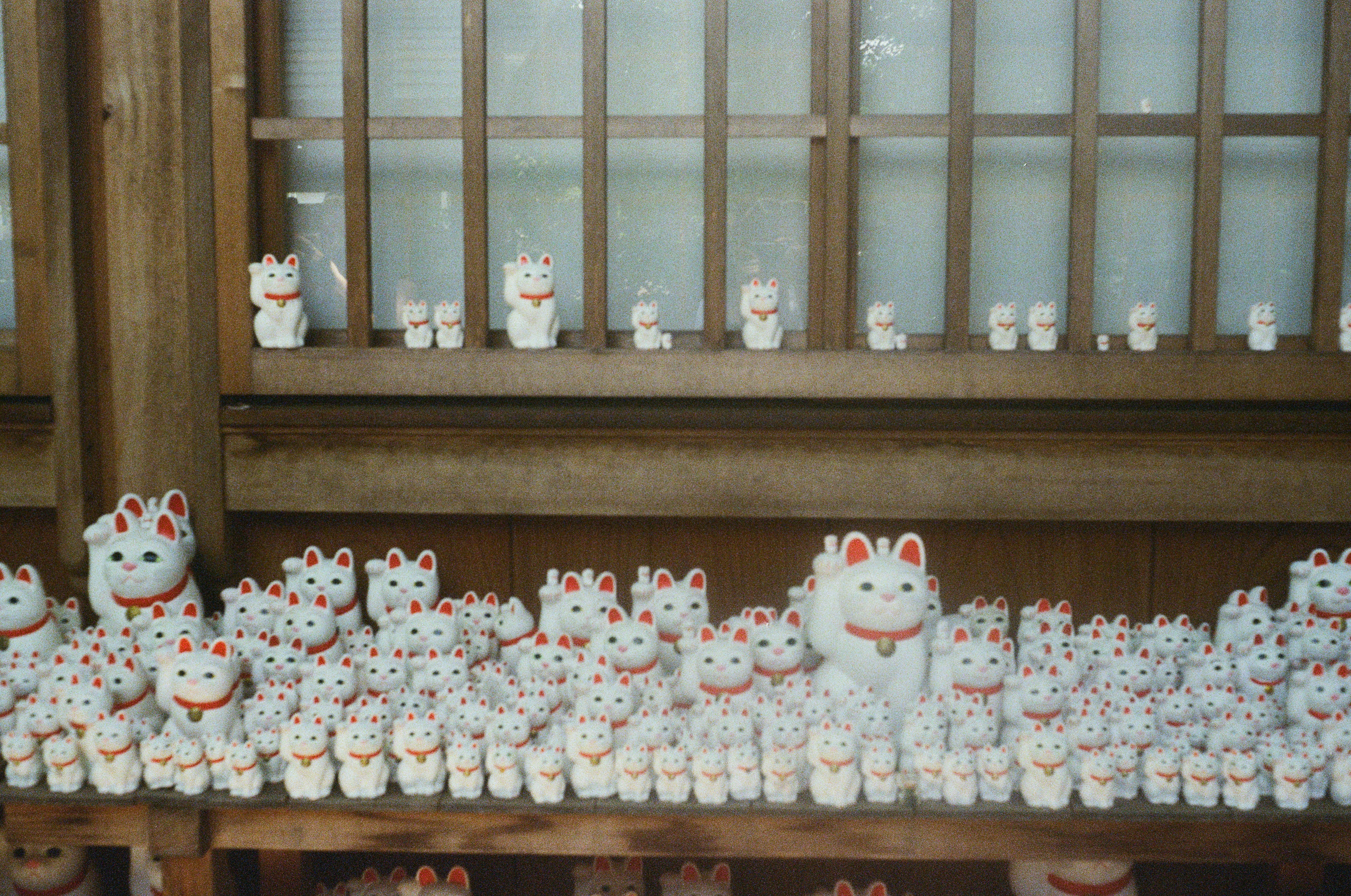 Gōtoku-ji Temple Tokyo