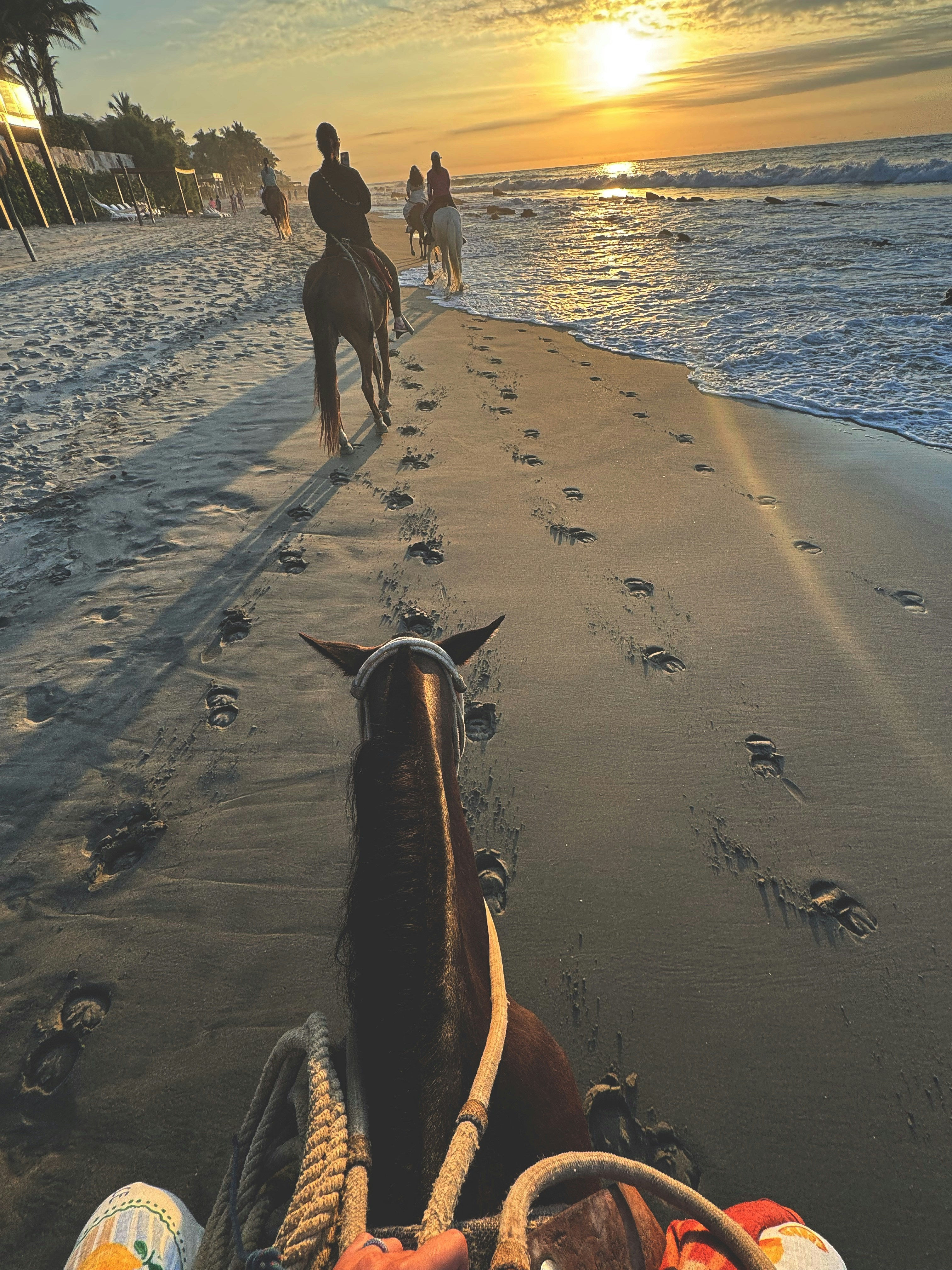 Ride Along the Sunset Shore: A Horseback Journey into the Surf