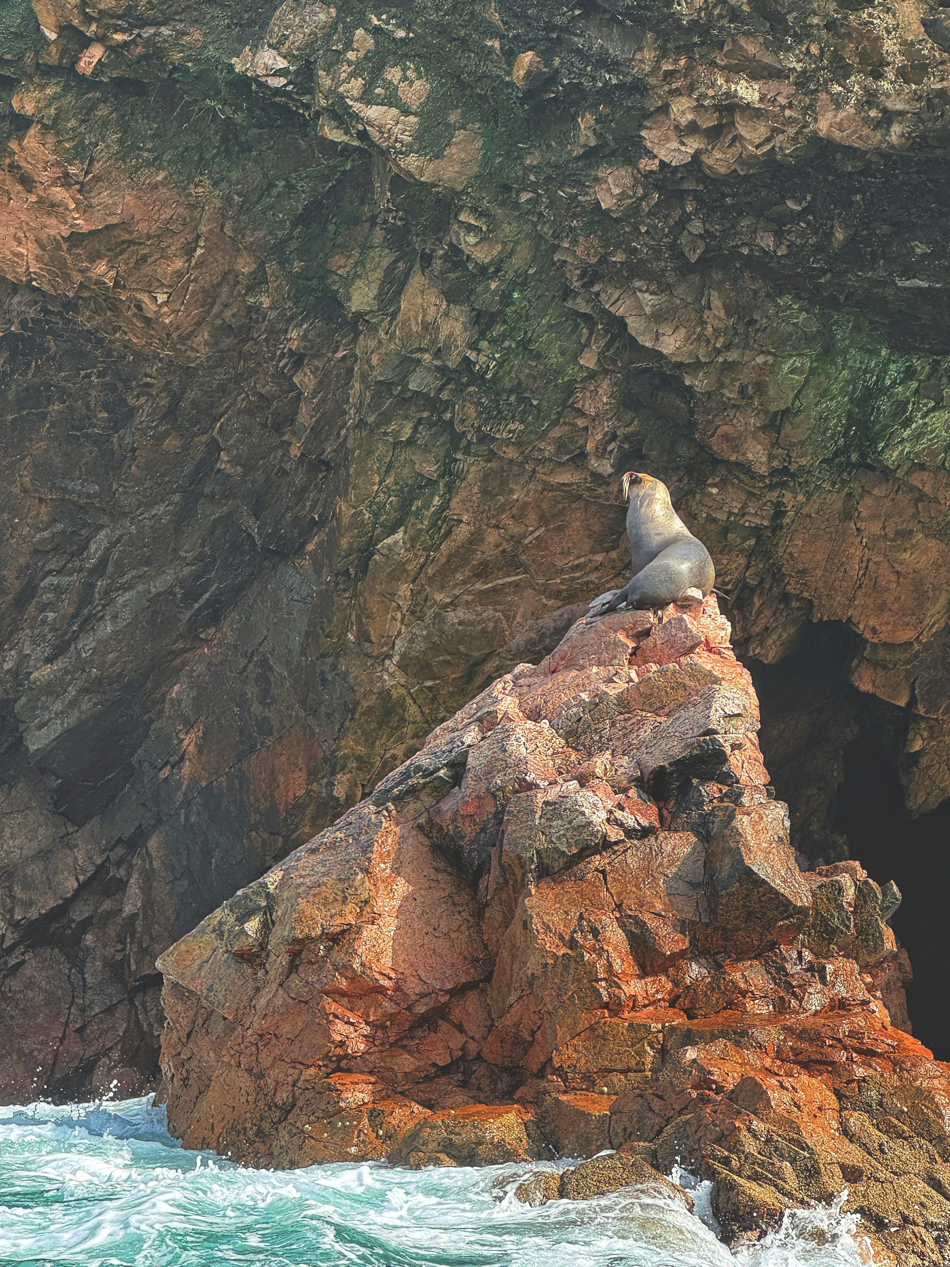 Sea Scout on the Red Rock Pinnacle