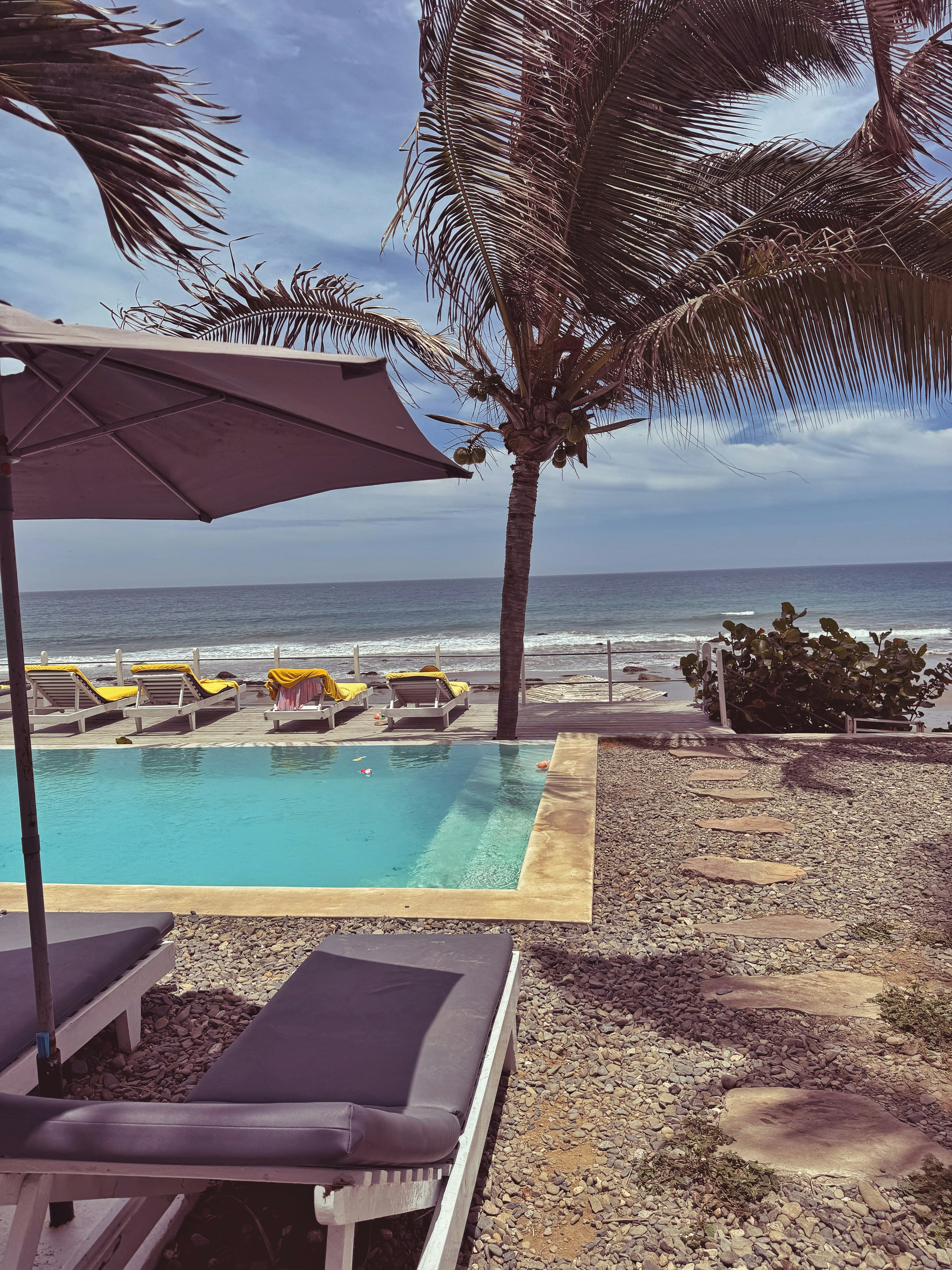 Palm Shade Over an Oceanfront Pool