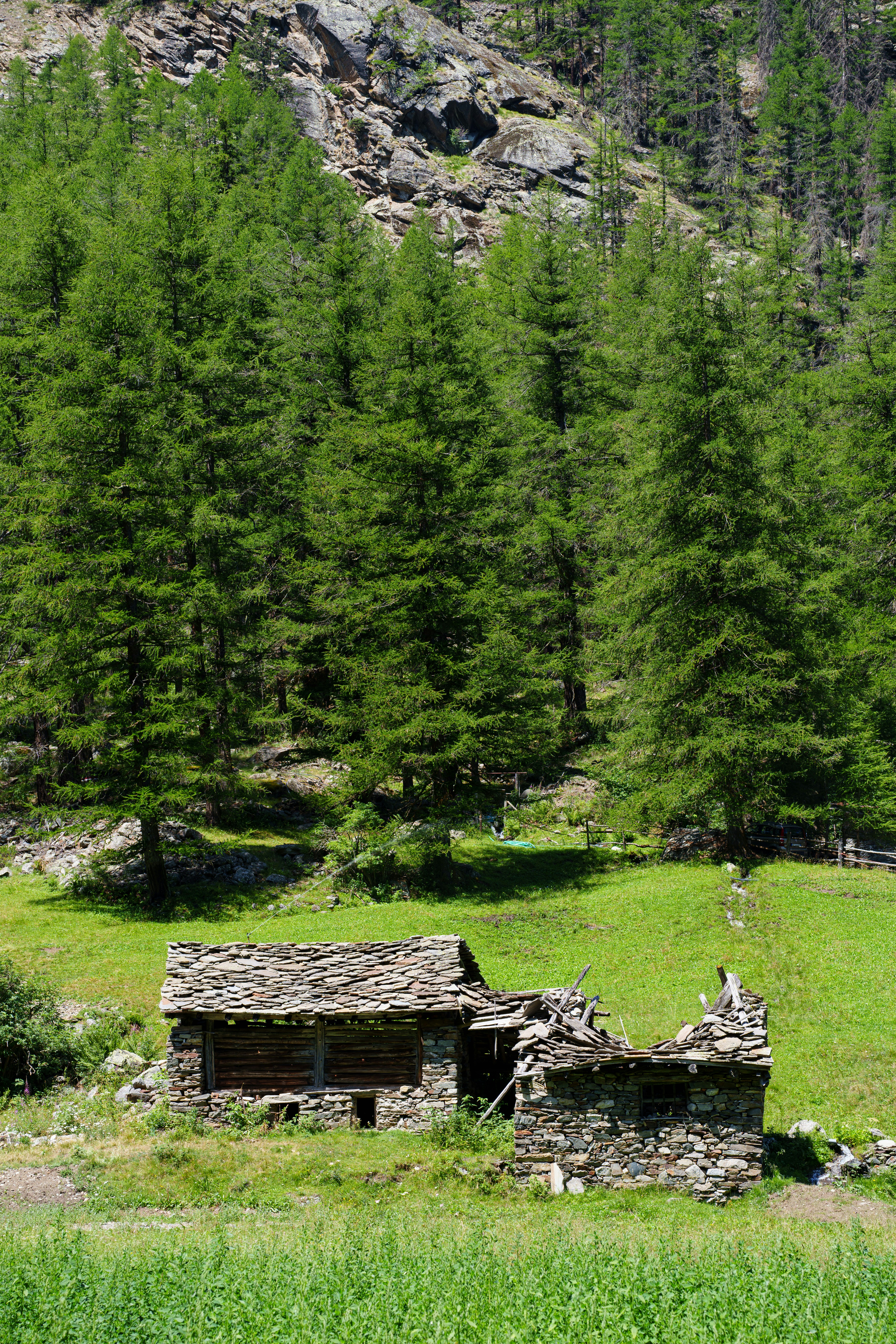 Stone Cottages Resting Amid Green Pines