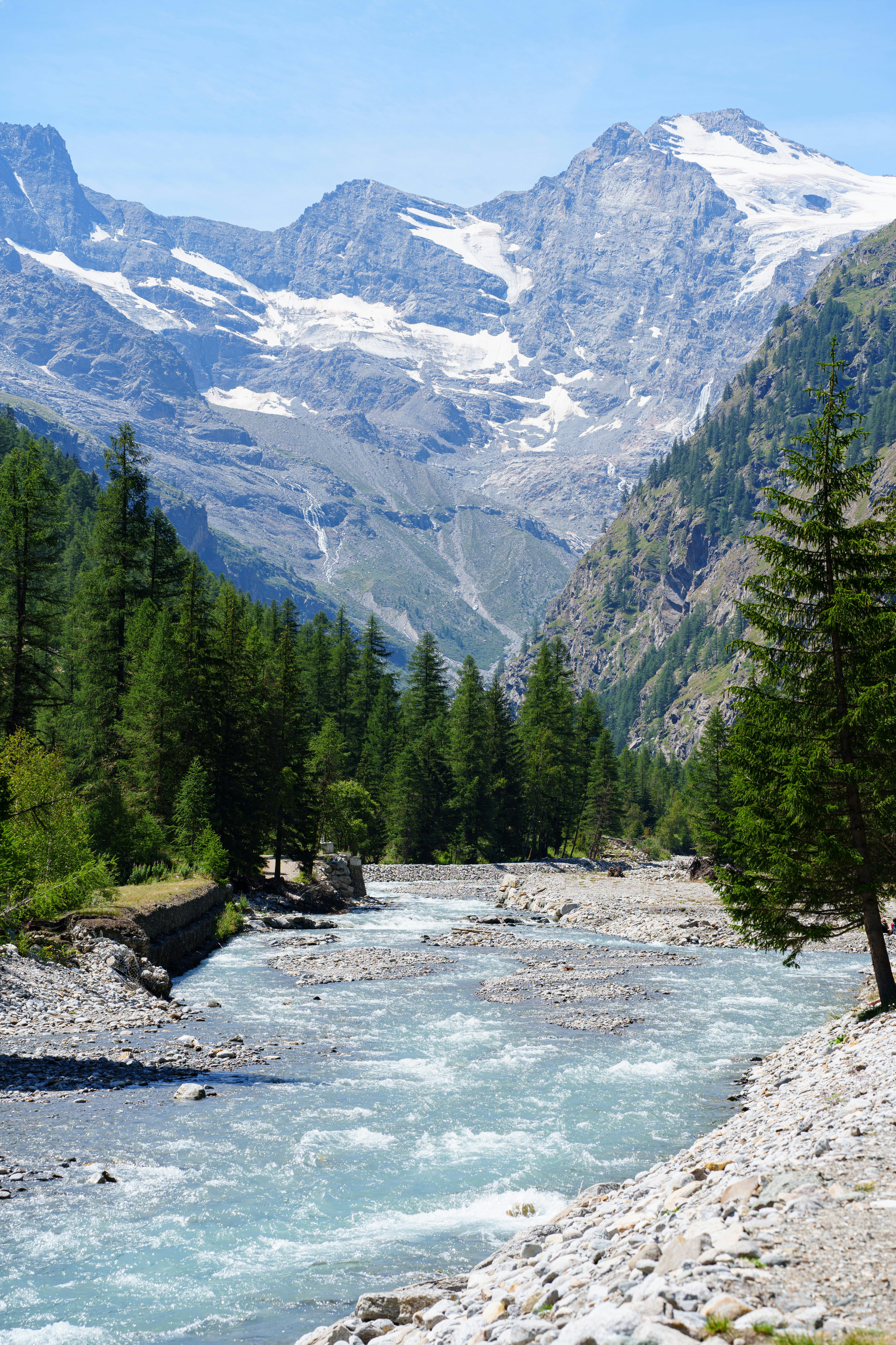 Glacial River Through the Pines Beneath Alpine Peaks