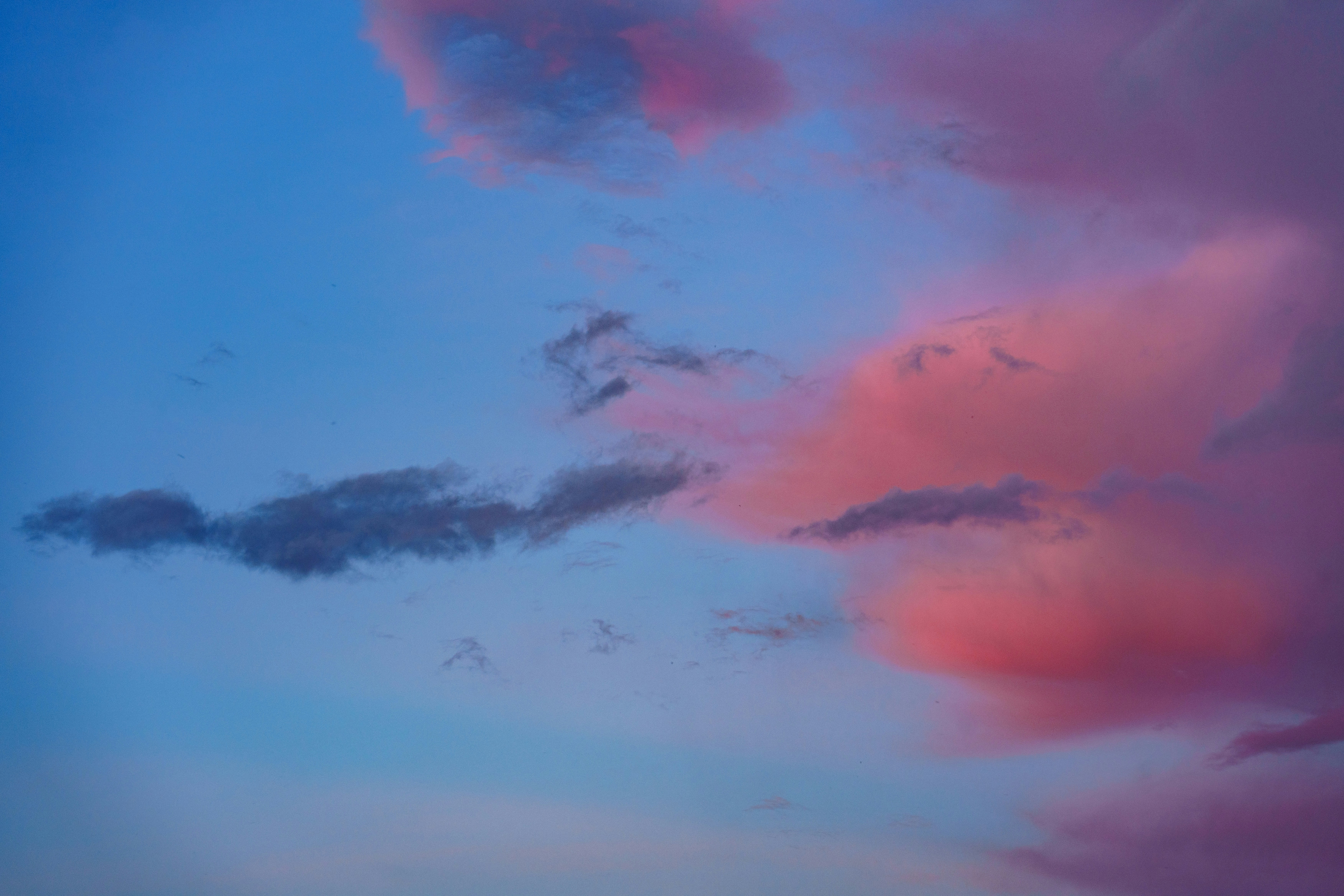 Azure Hour: Pink-tinged Clouds in a Quiet Dusk Sky