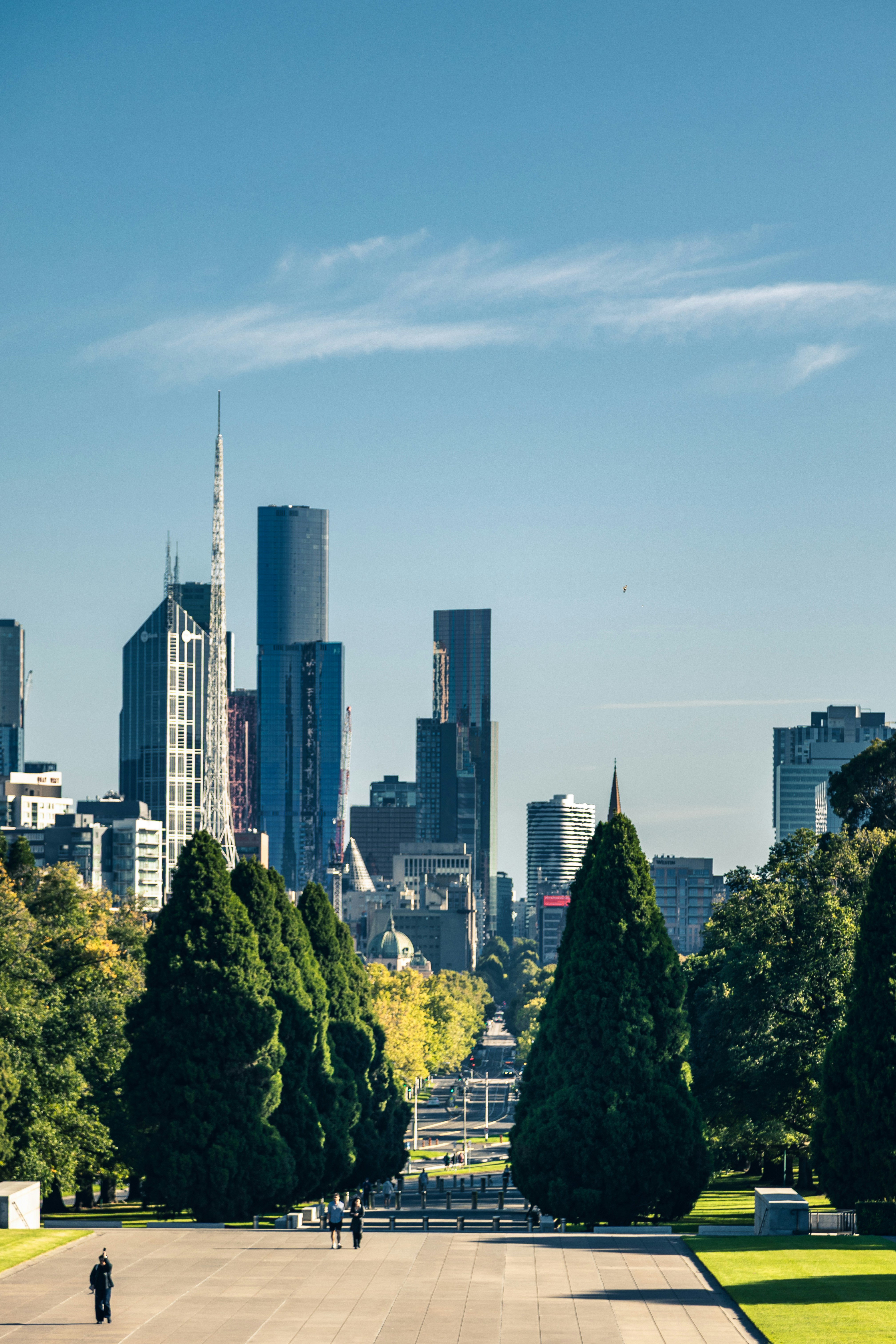 A Palm-lined Avenue Pointing Toward a Sky of Skyscrapers