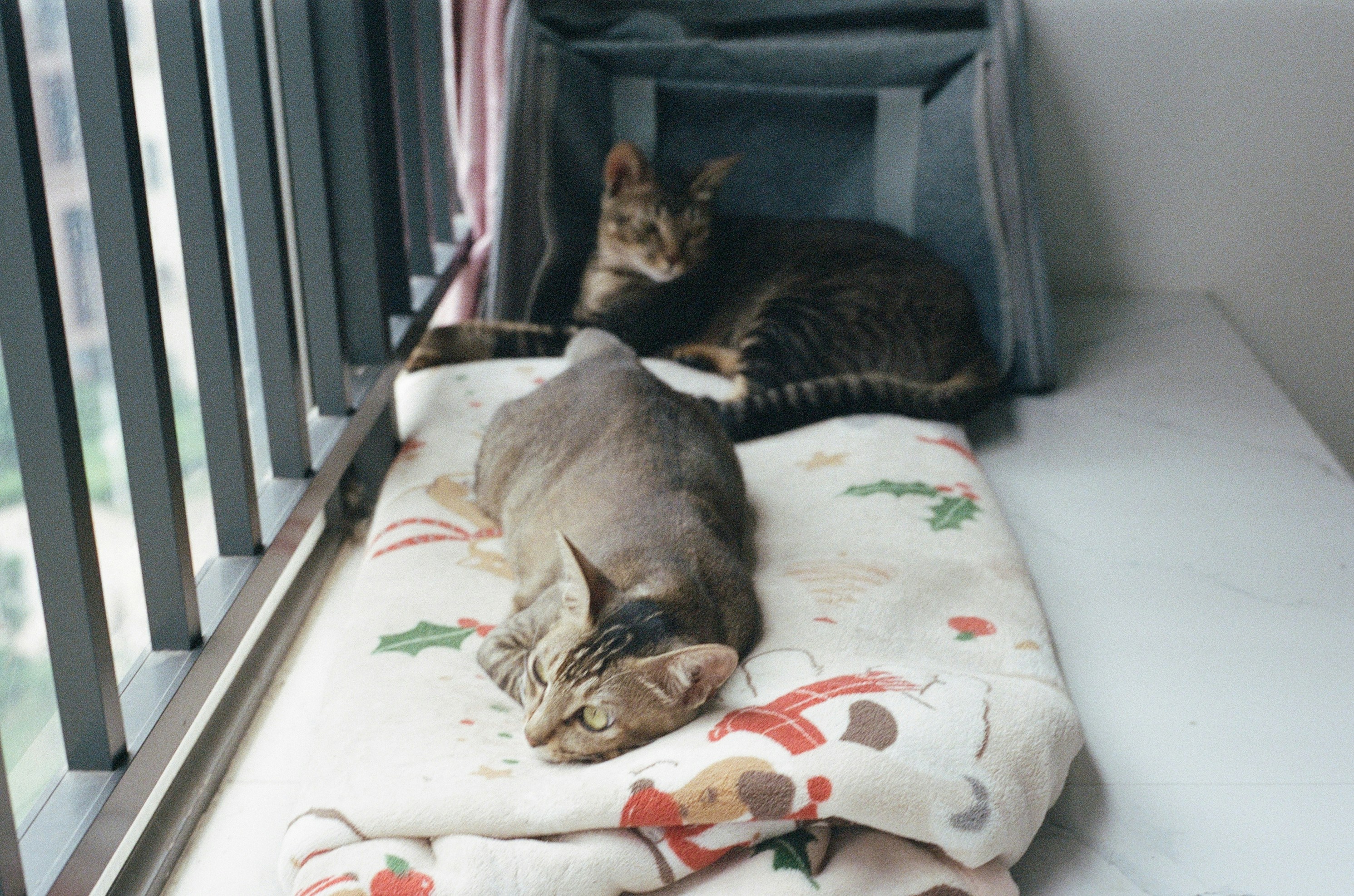 Sample photo from Kodak Retina IIIc