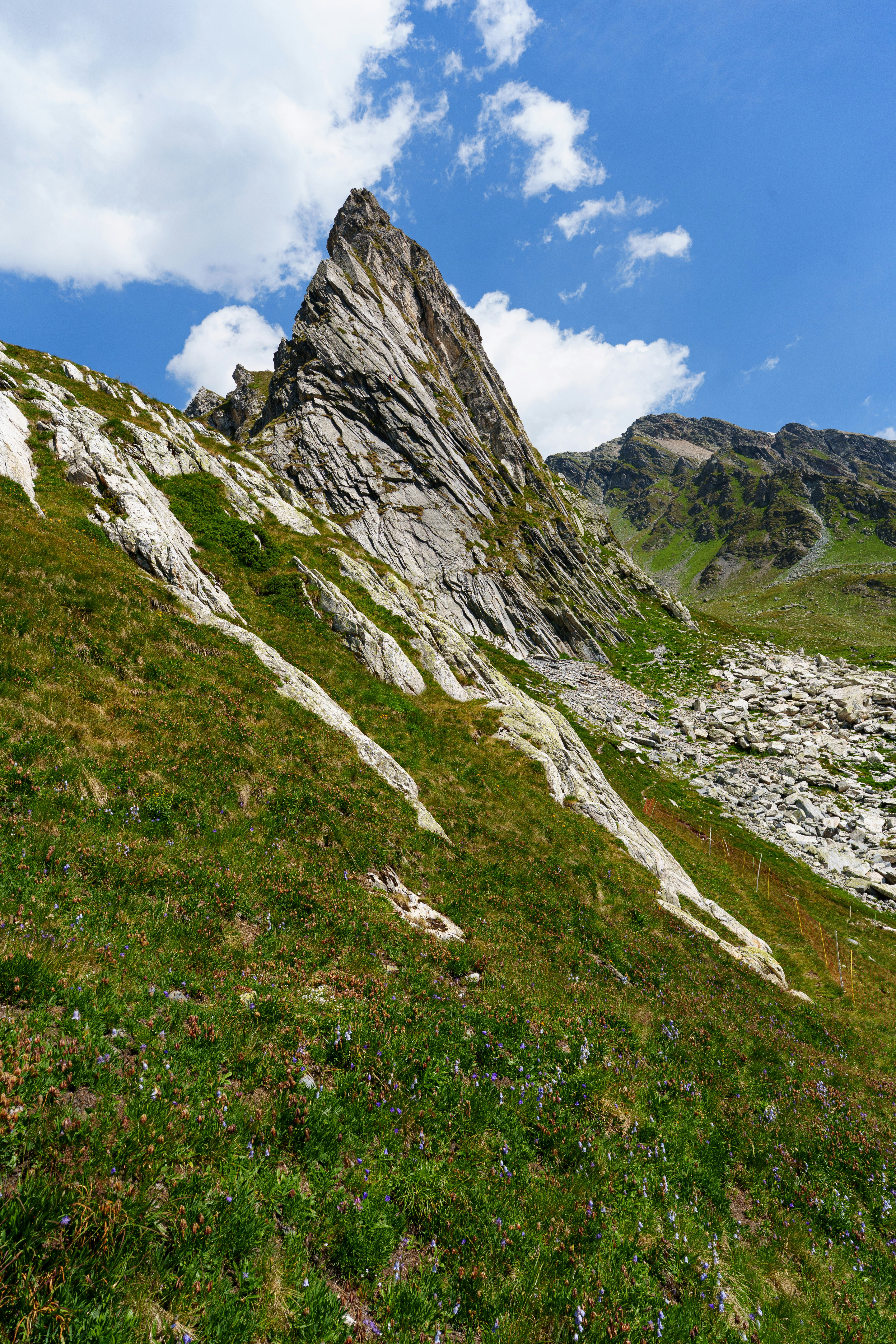 Verdant alpine meadow slopes up to a sharp rocky peak under a blue sky with scattered clouds; wildflowers dot the foreground and a rocky ridge climbs toward the summit.