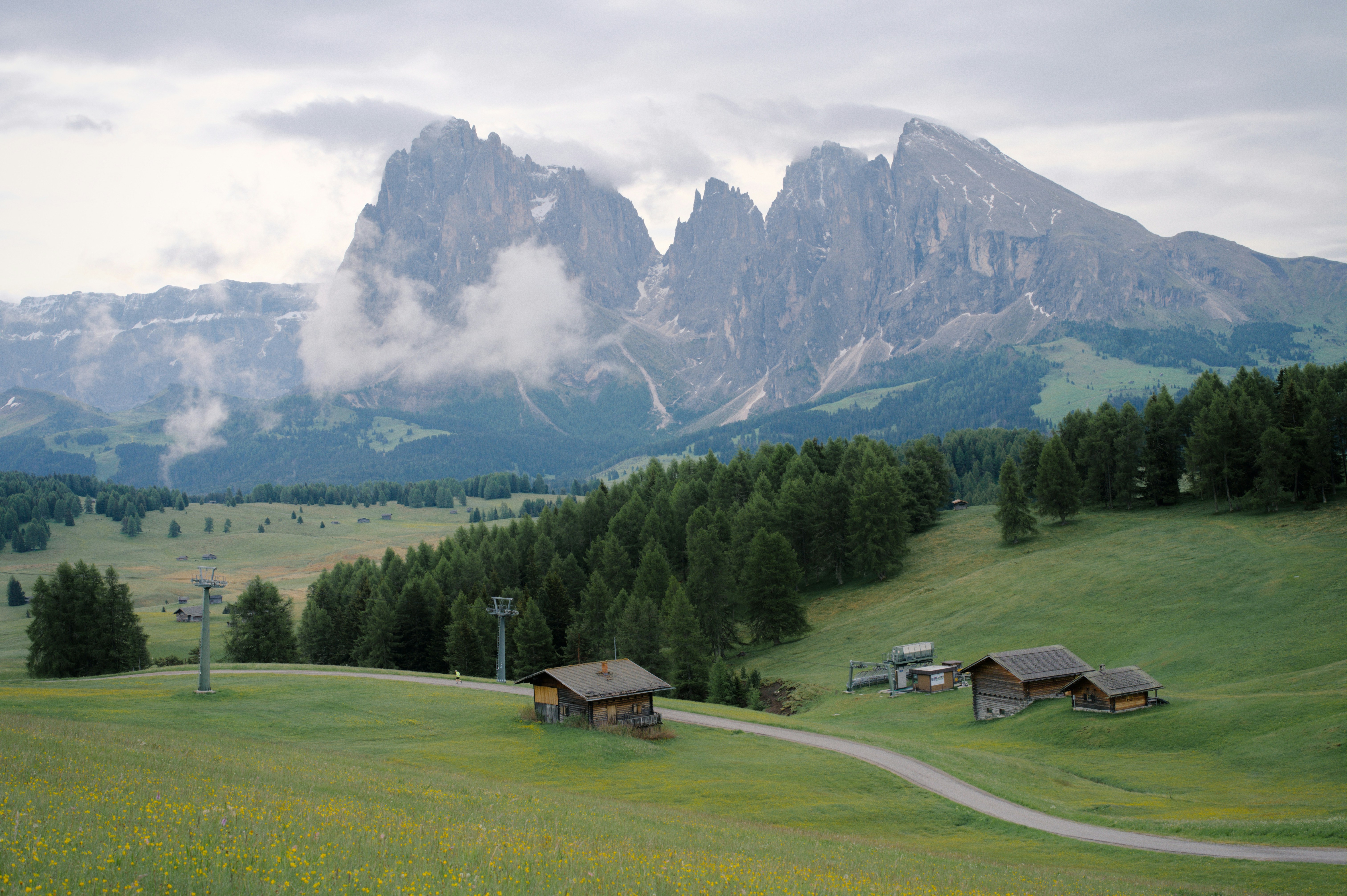 Quiet Alpine Pasture Beneath jagged Peaks