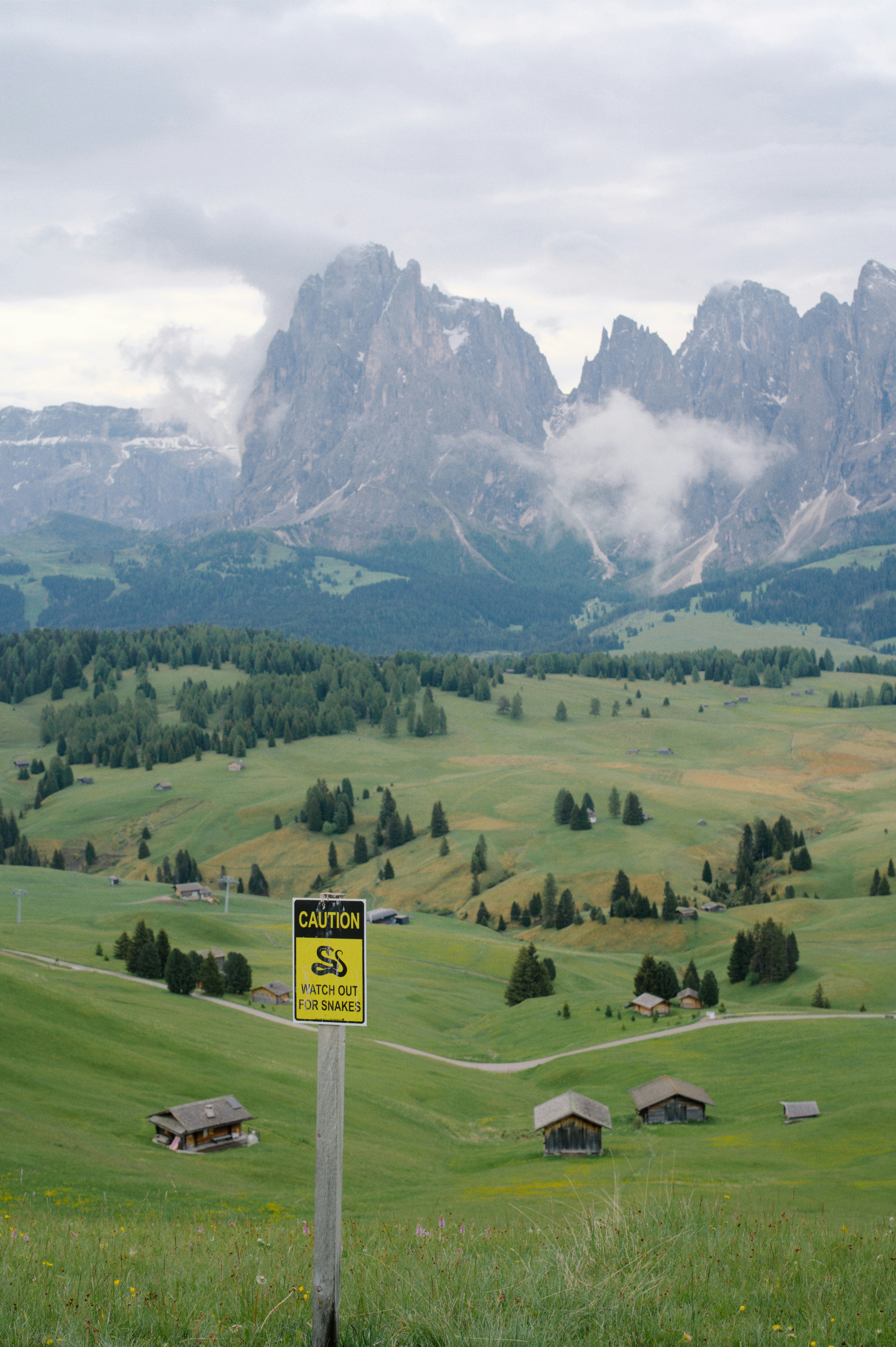 Rolling Alpine Meadow Beneath Cloud-Wedged Peaks